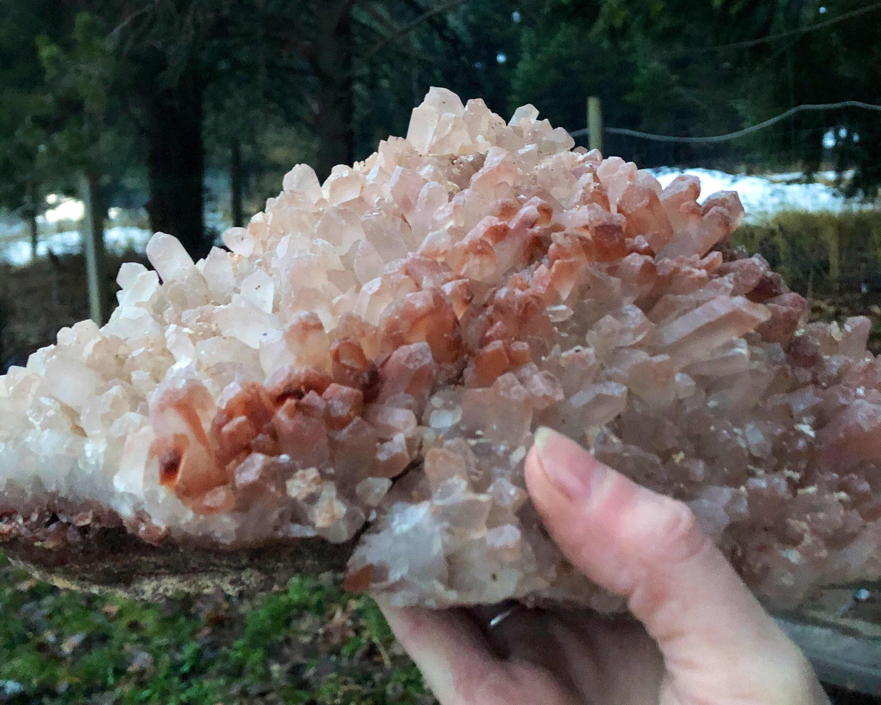 2758g XL Quartz Crystal Cluster Plate Display Specimen