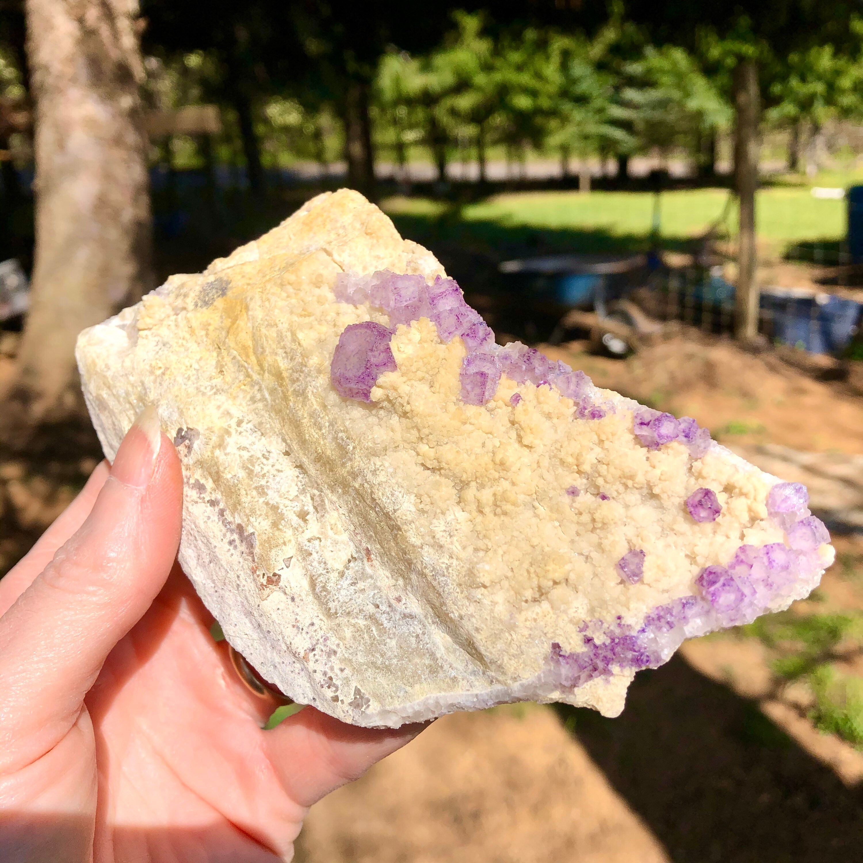 410g Violet Edged Cubic Fluorite On Yellow Stalactic Calcite Crystal ...