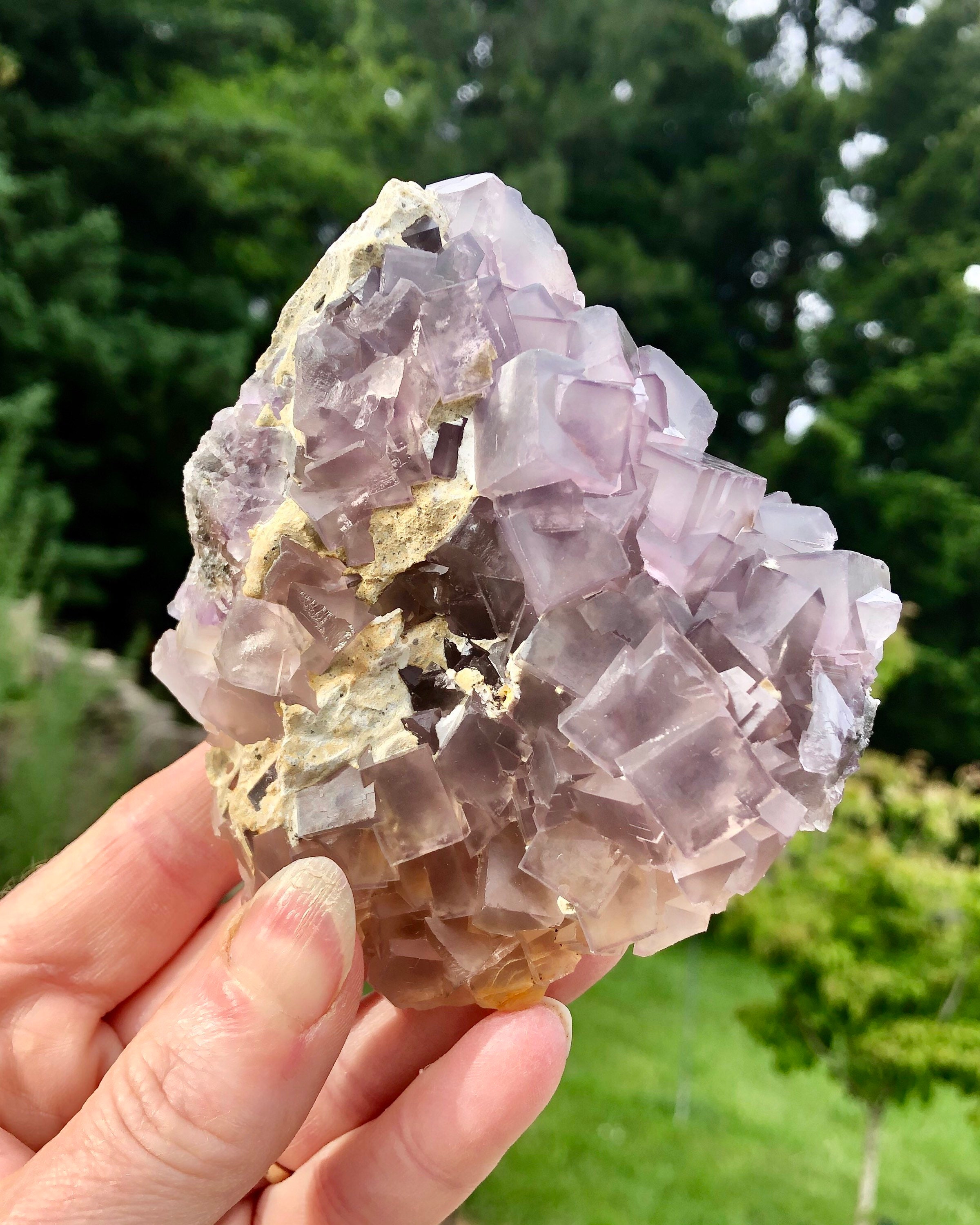 310g Purple Cubic Fluorite Crystal Cluster Mineral Display Specimen