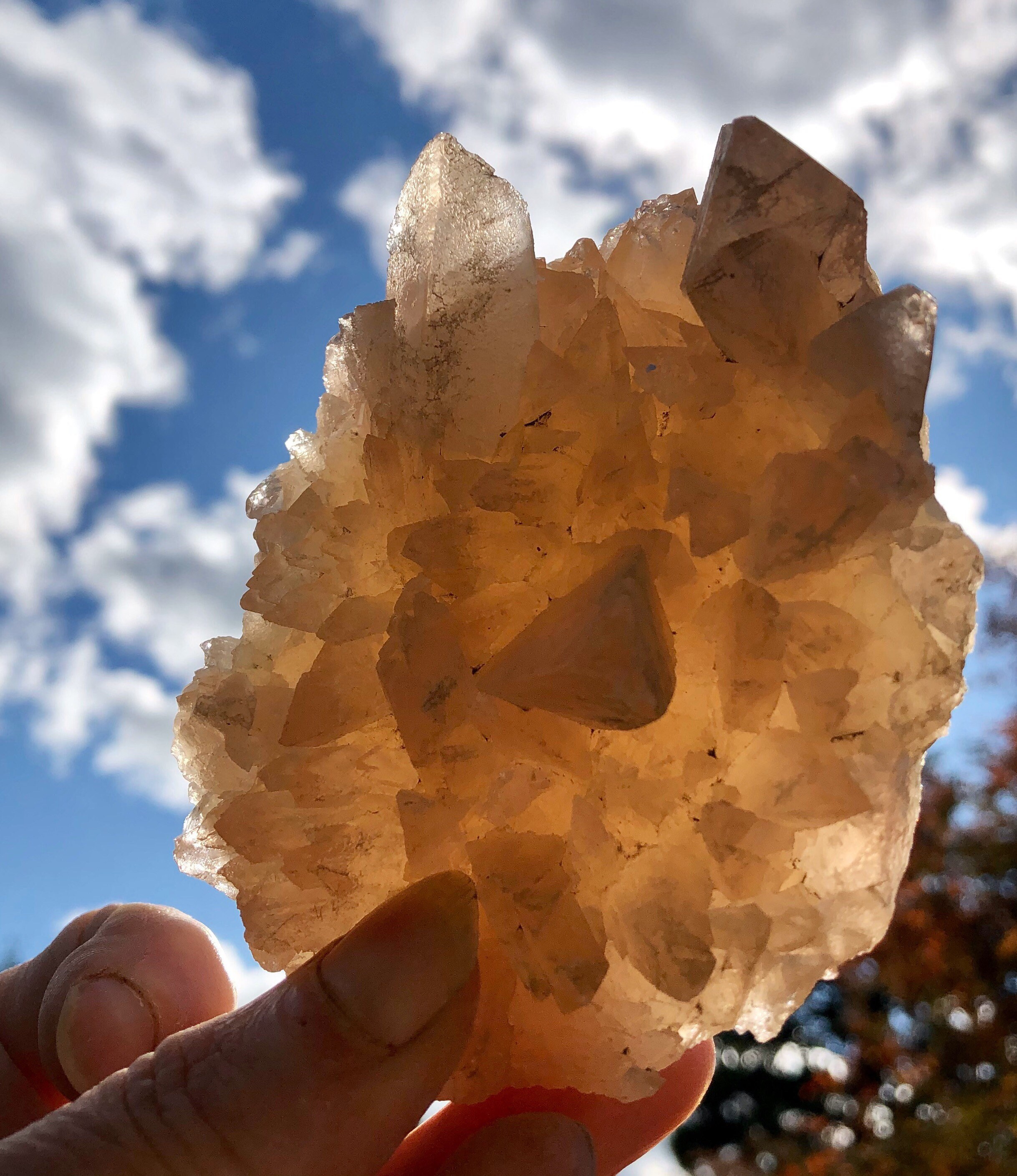Pale Pink Dogtooth Calcite Fluorescent Crystal Cluster Specimen