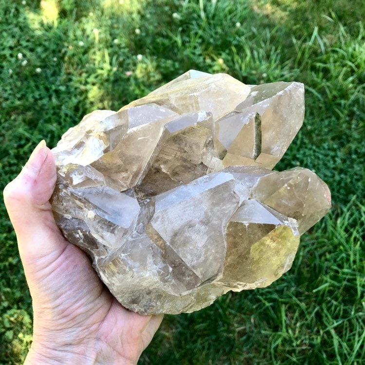XL Smoky Rutilated Quartz Crystal Cluster Specimen