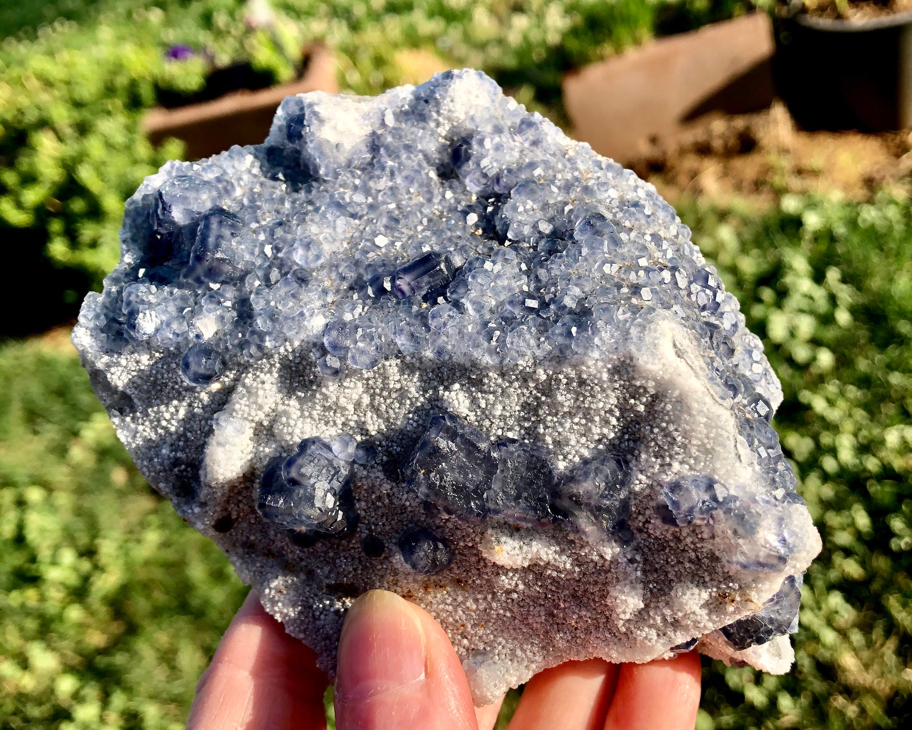 440g Blue Cubic Fluorite On White Druzy Quartz Crystal Cluster Mineral ...