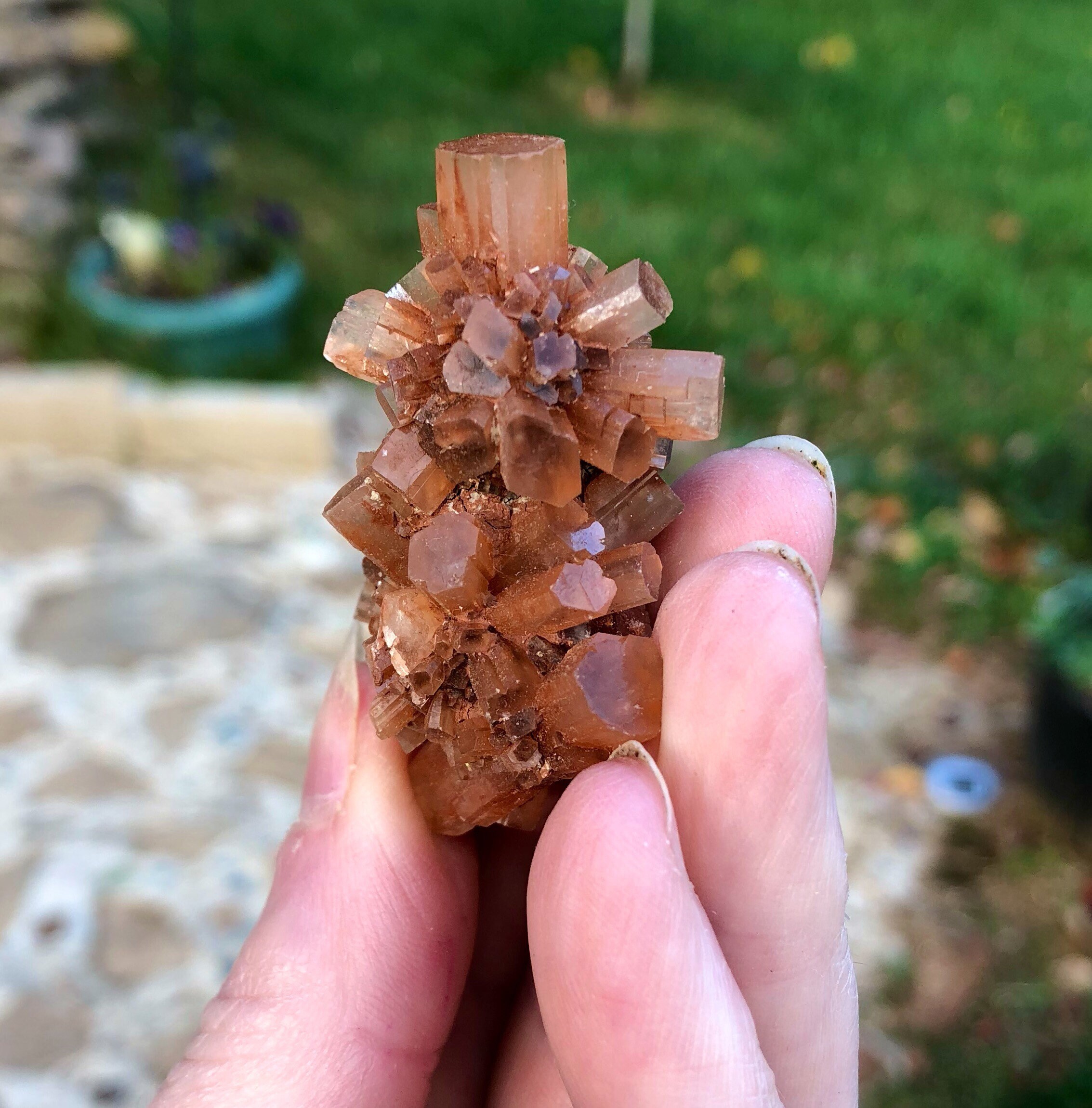 Double Aragonite Star Cluster Crystal