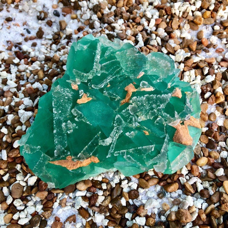 678g Neon Green Cubic Fluorite Crystal Cluster with Orange brown Barite ...