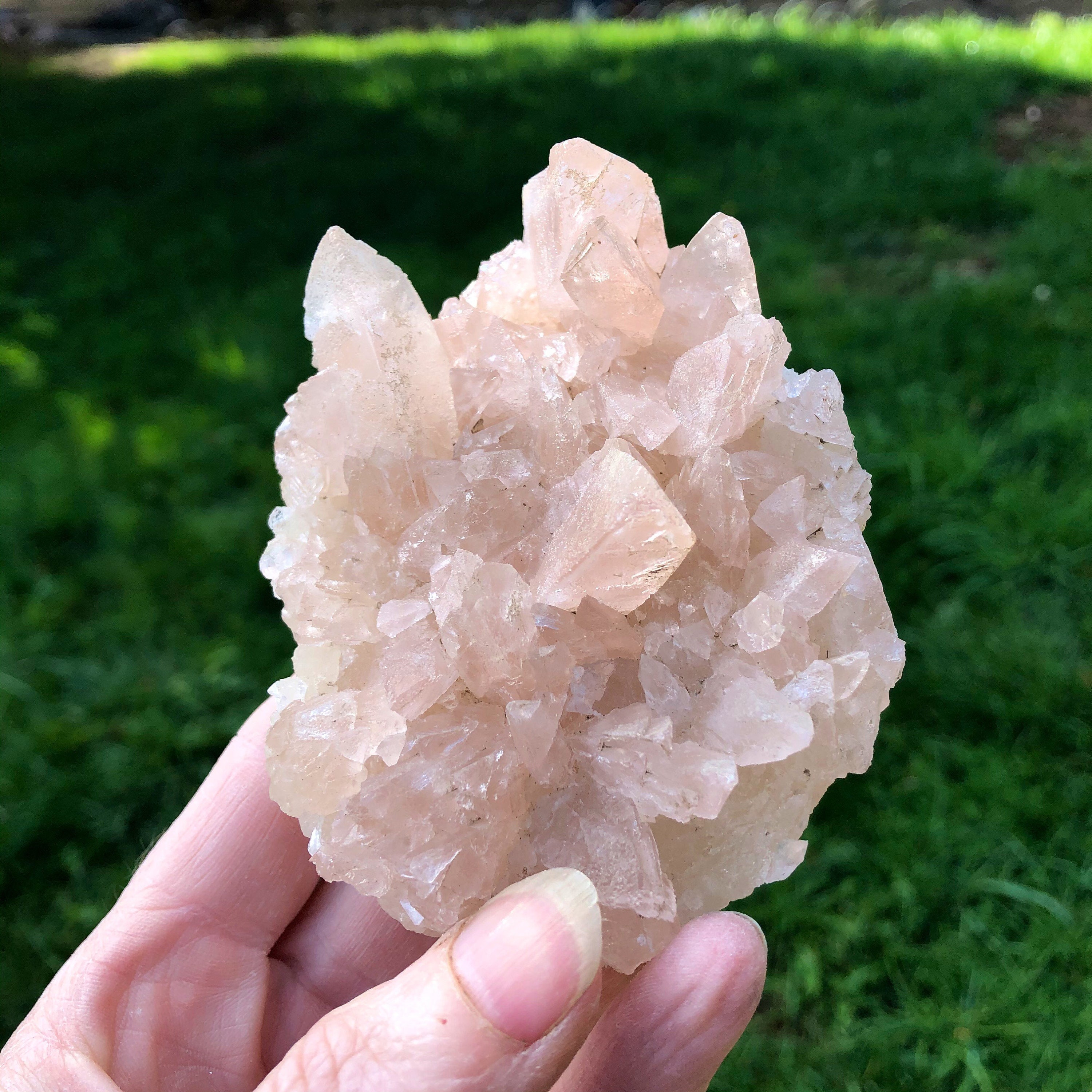 Pale Pink Dogtooth Calcite Fluorescent Crystal Cluster Specimen