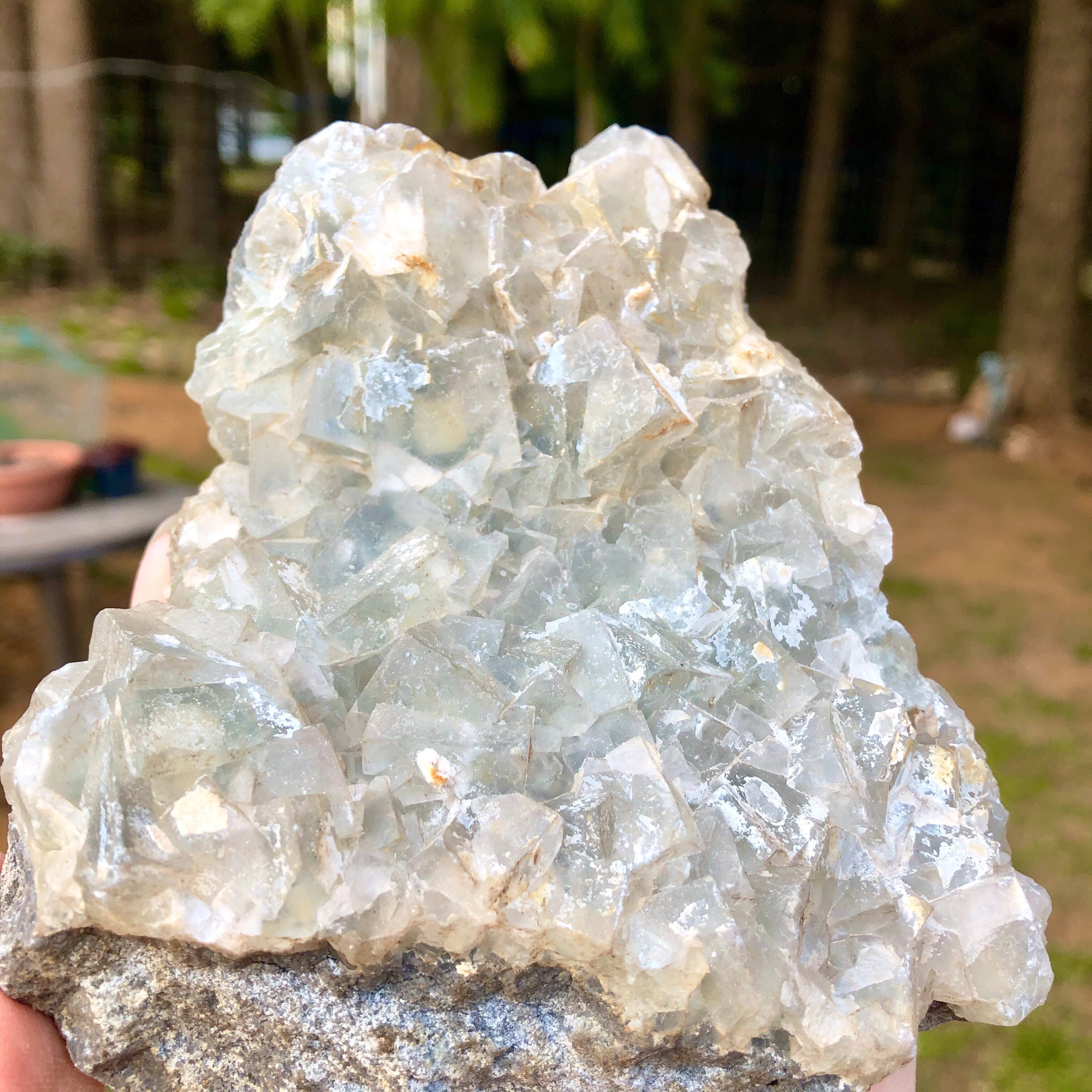 946g Large Light Blue Cubic Fluorite Crystal Cluster Mineral Display ...