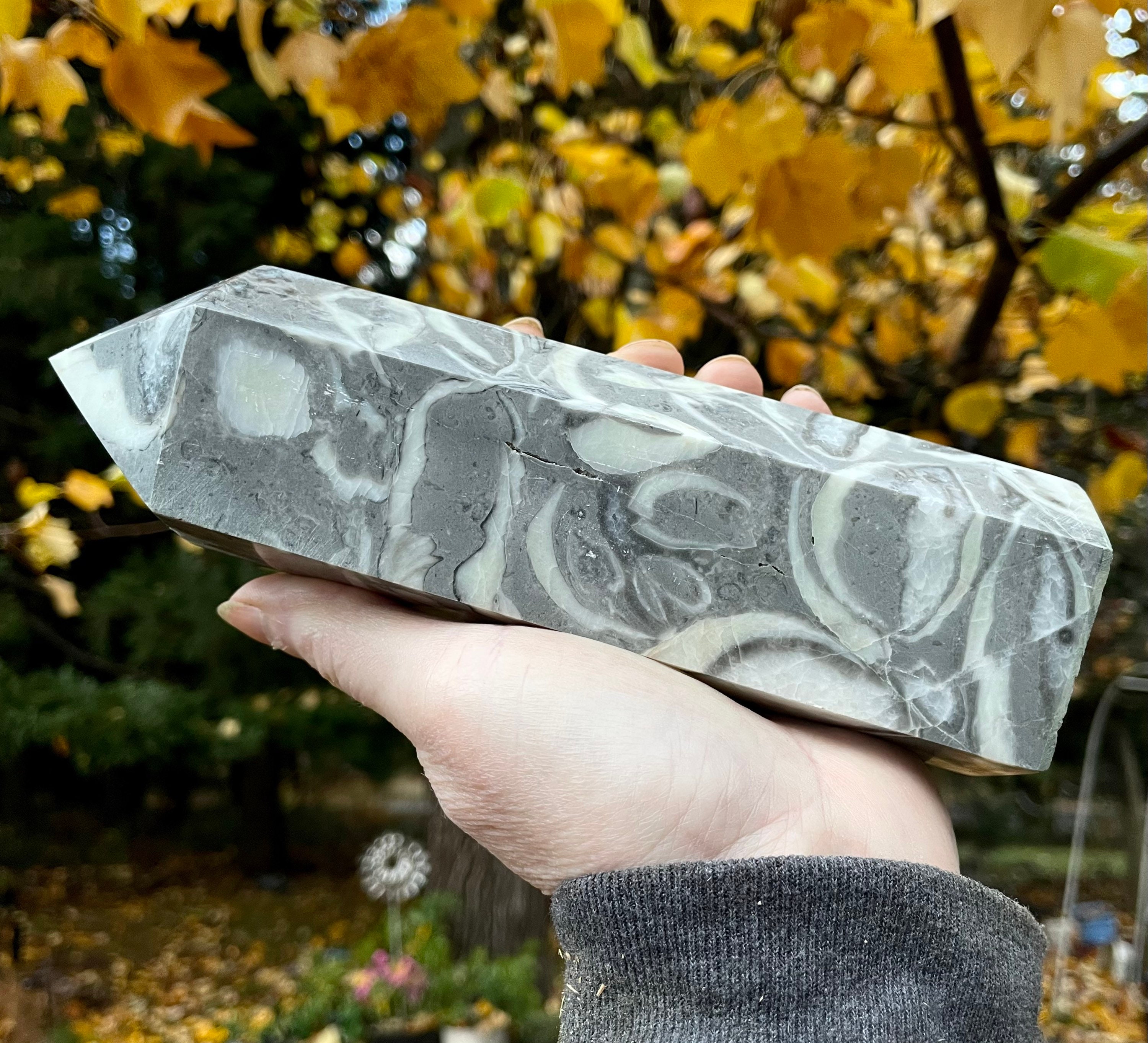 2.22 lb Thousand Eyes Stone or Fossil Shellstone Jasper Obelisk Pillar ...