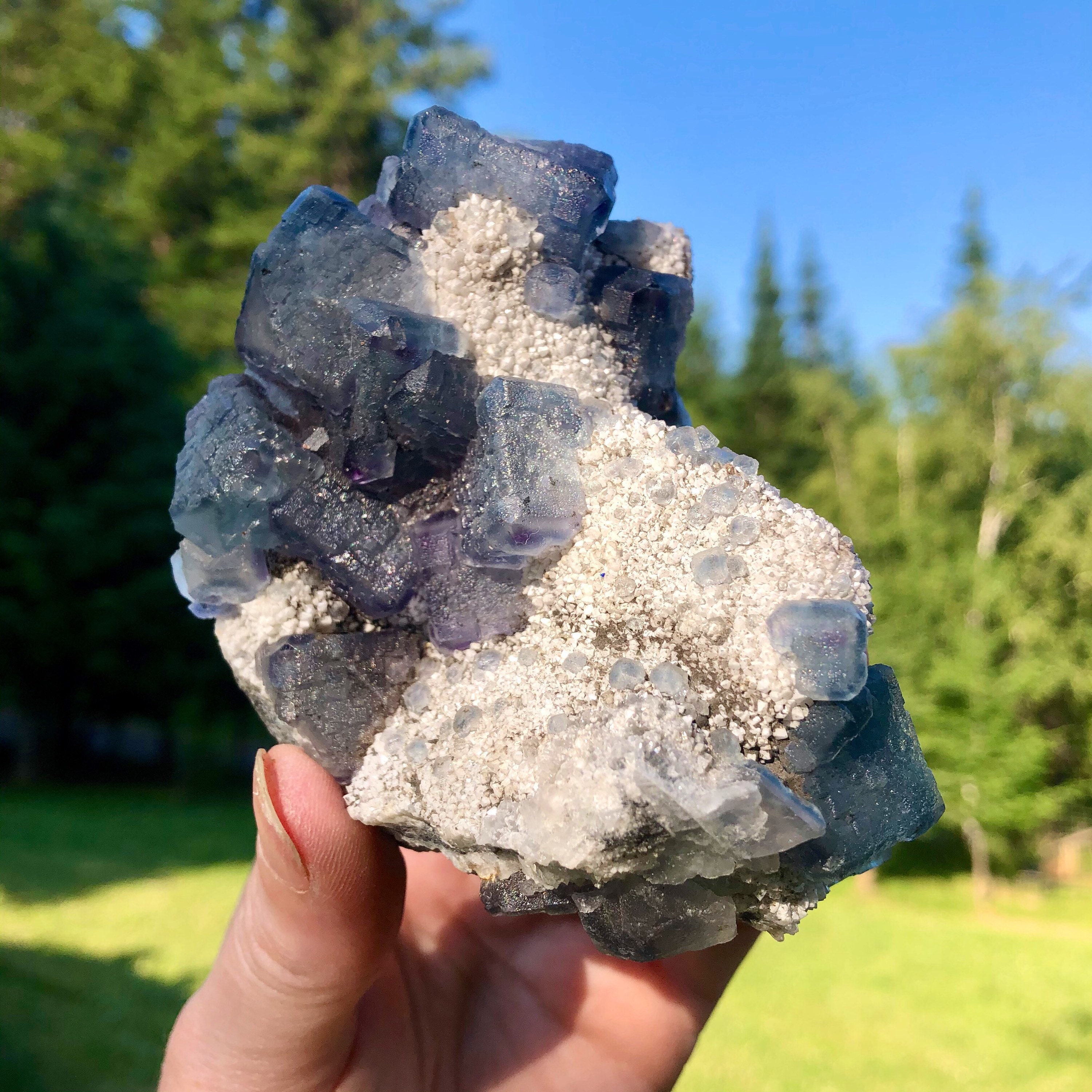324g Blue Cubic Fluorite On White Dolomite Crystal Cluster Mineral ...