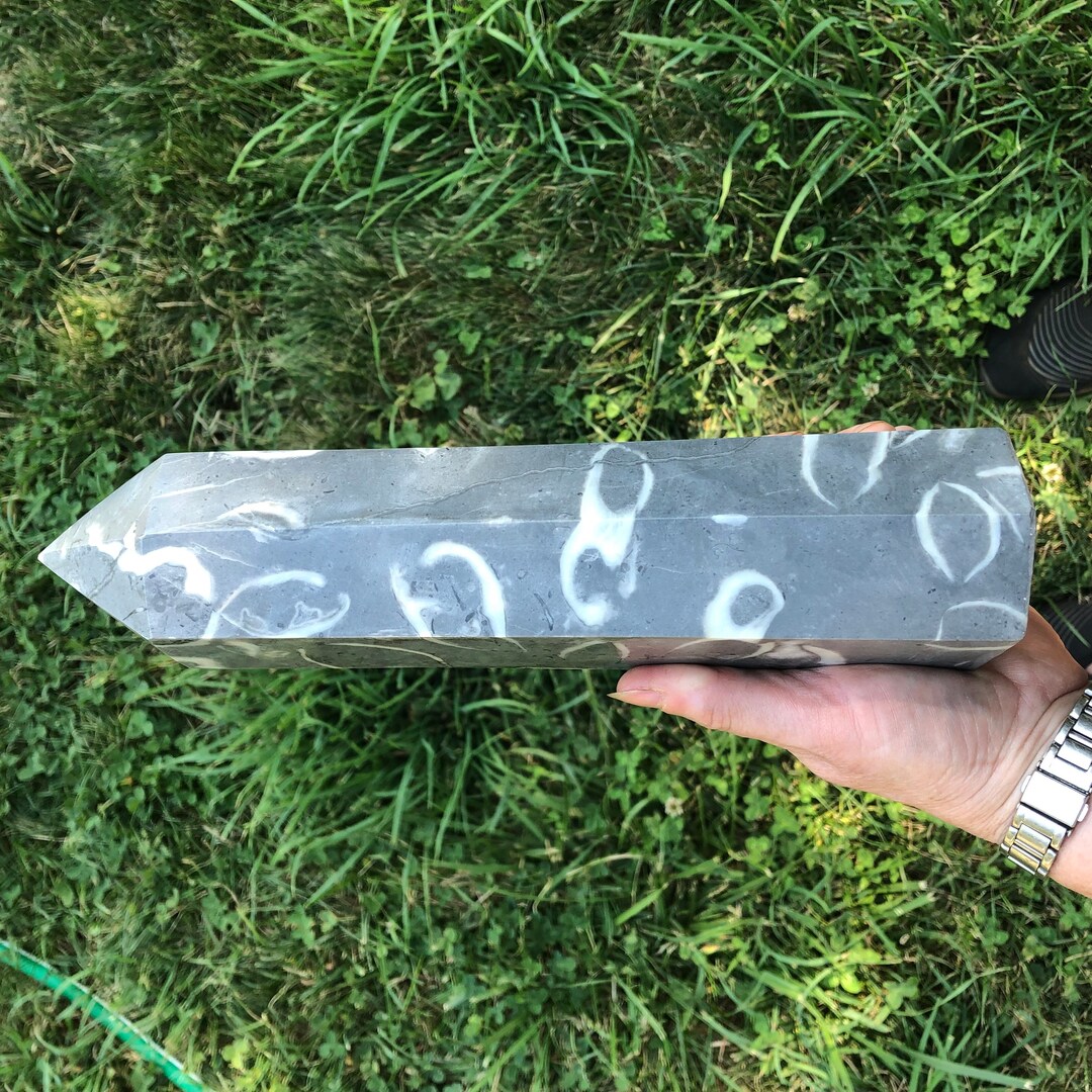 4.91 Lb Thousand Eyes Stone Obelisk: Fossil Shellstone Tower - Etsy
