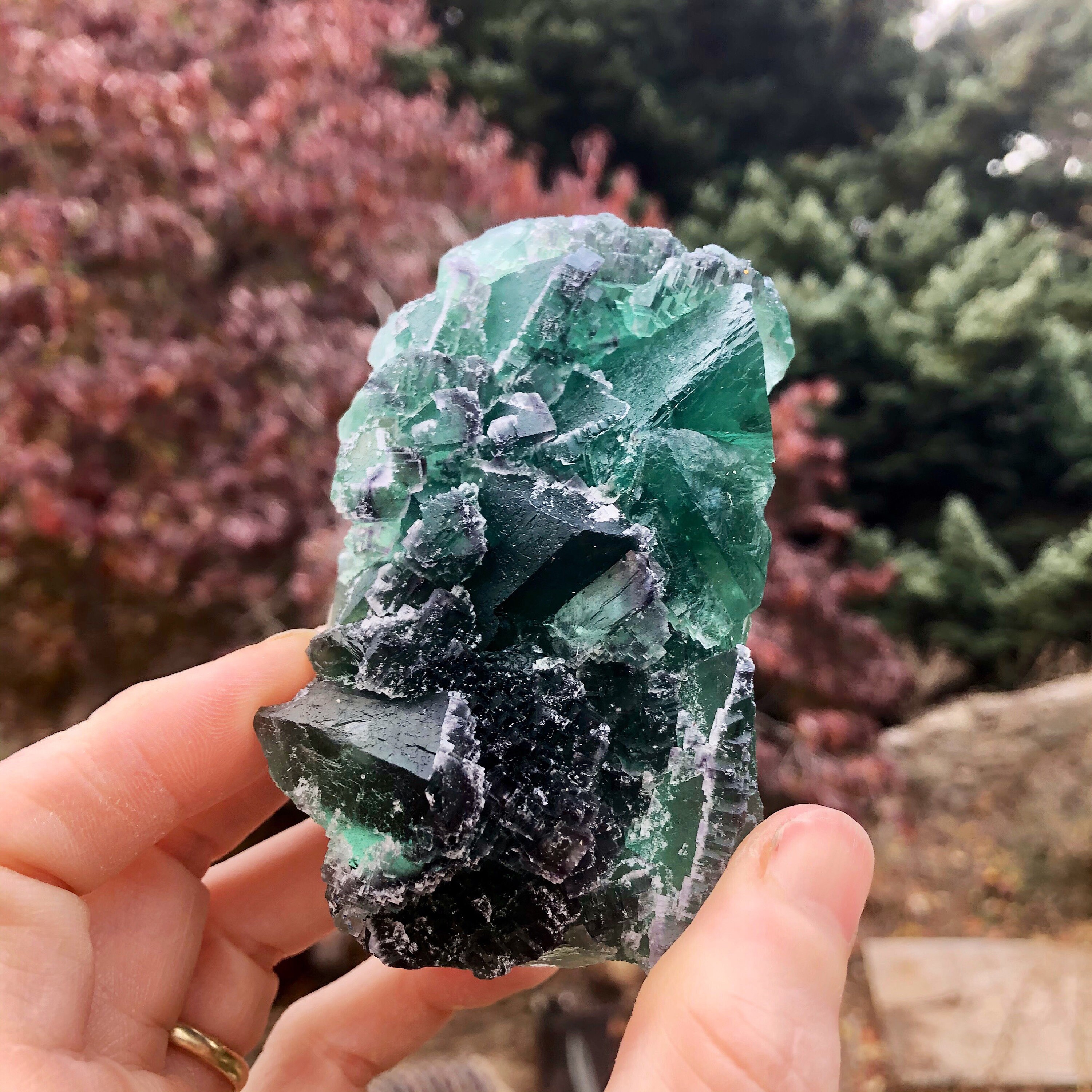 298g Transparent Deep Green Trapezoidal Fluorite Crystal Cluster with ...