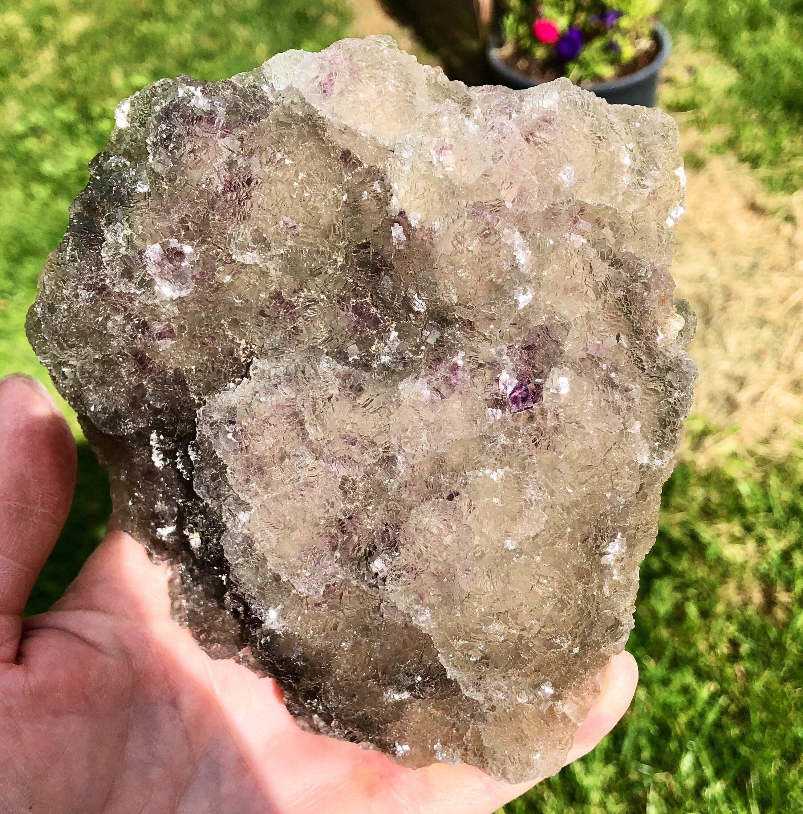 1196g Large Light Green And Violet Fluorite Crystal Cluster Mineral ...