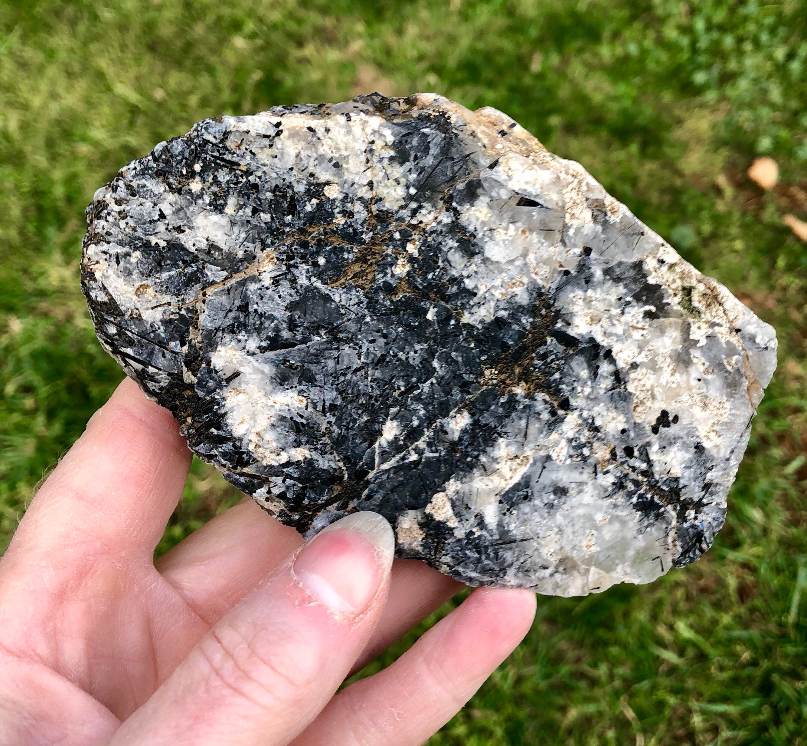 Black Tourmaline in Quartz Specimen for collectors or lapidary use ...