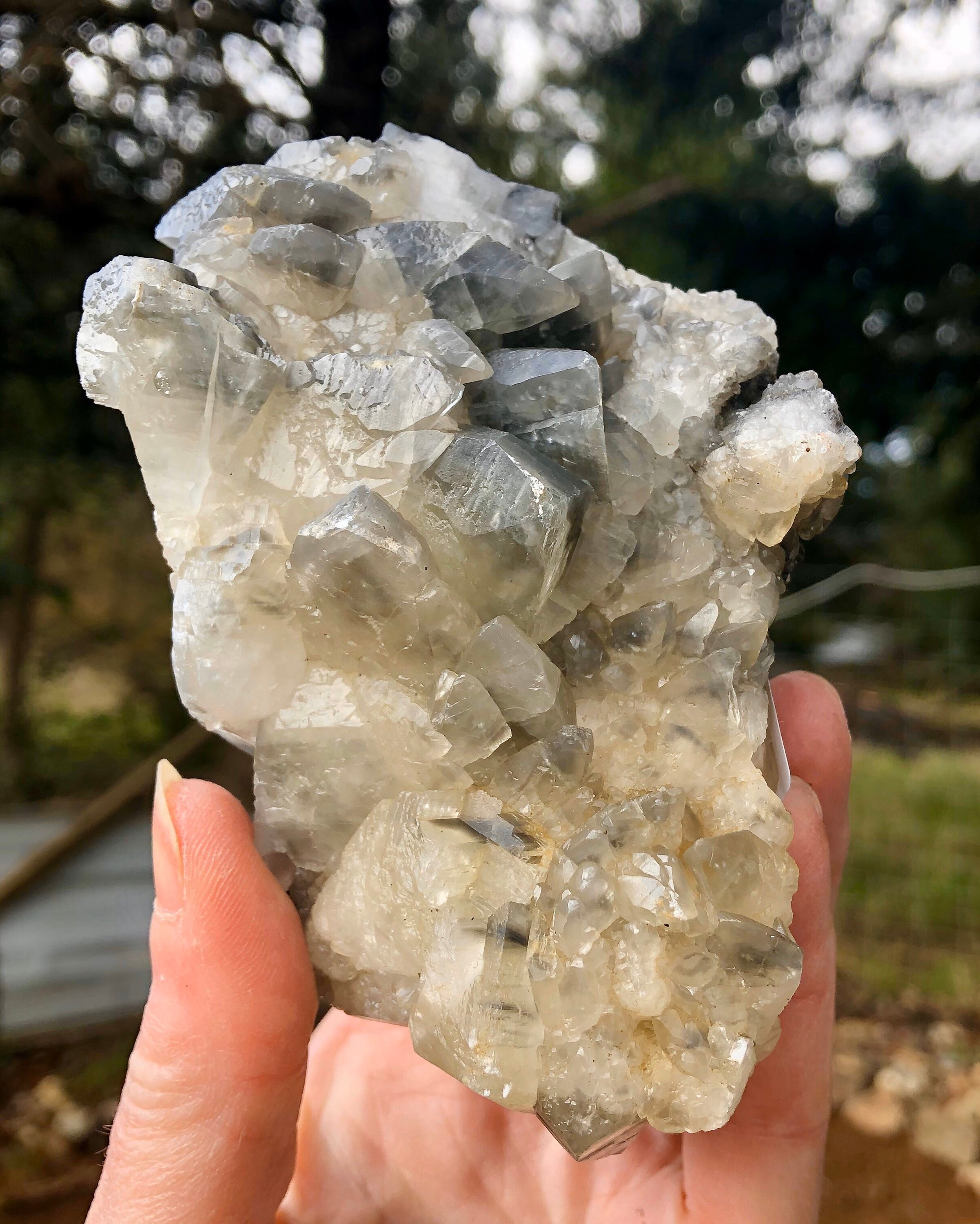 672g Gray Dogtooth Calcite Double Sided Crystal Cluster Mineral Display ...