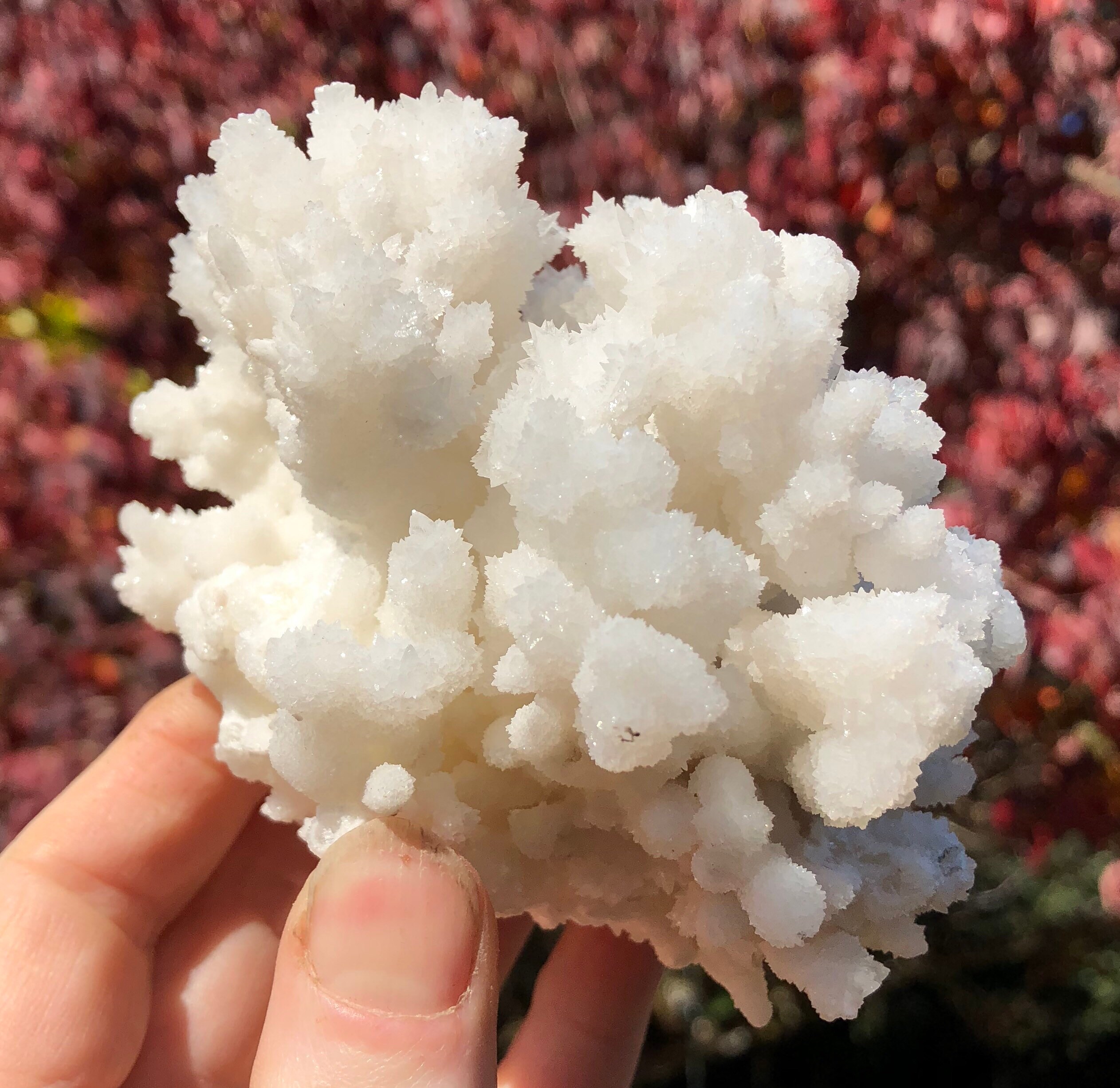 White Cave Crystal Stalactic Chalcedony Specimen