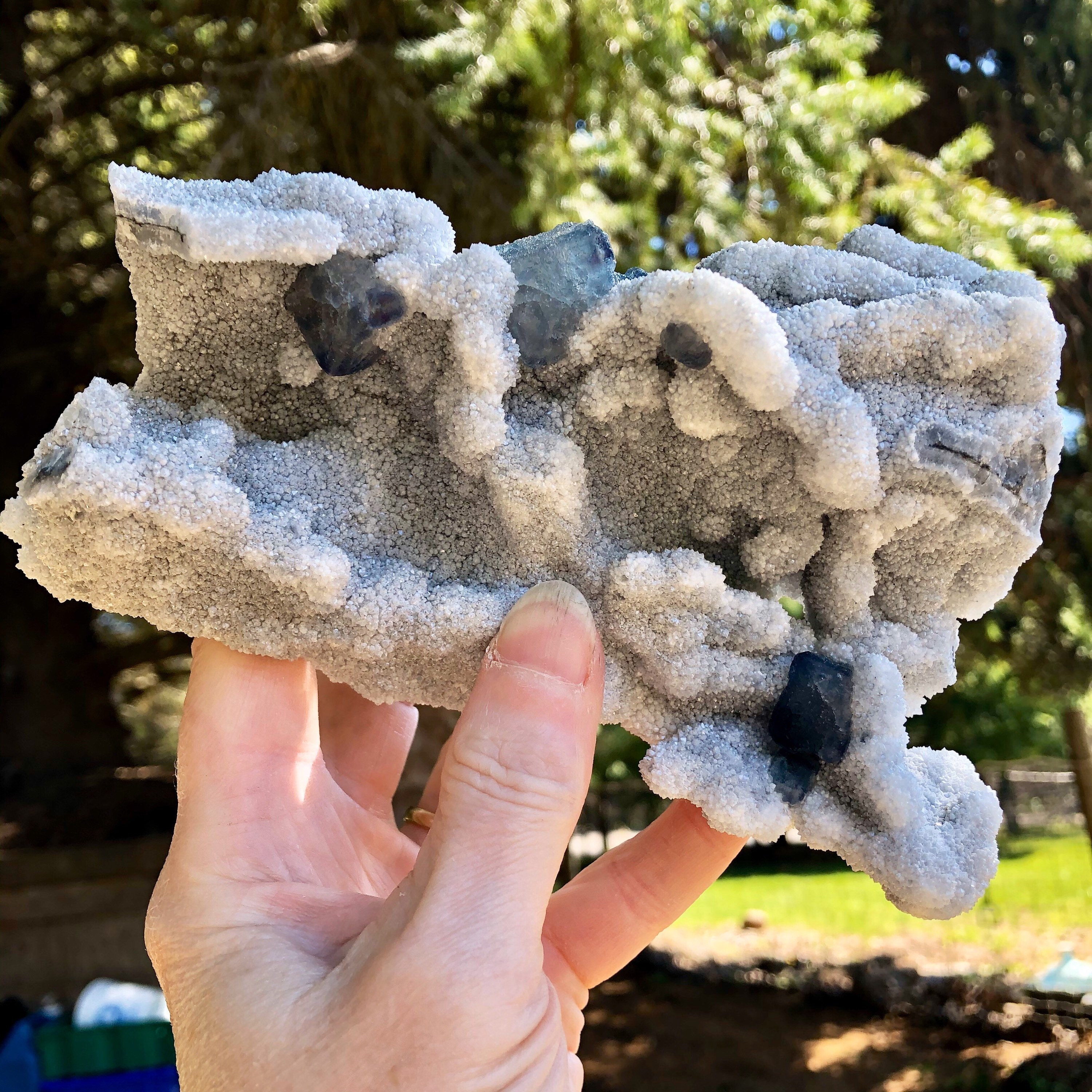 654g Blue Cubic Fluorite On White Druzy Stalactic Chalcedony Crystal ...