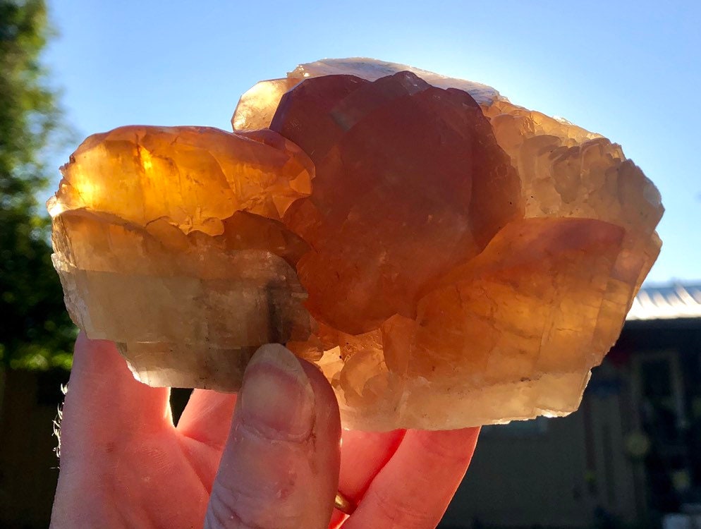 534g Yellow Mushroom Fluorite Crystal Cluster Mineral Specimen