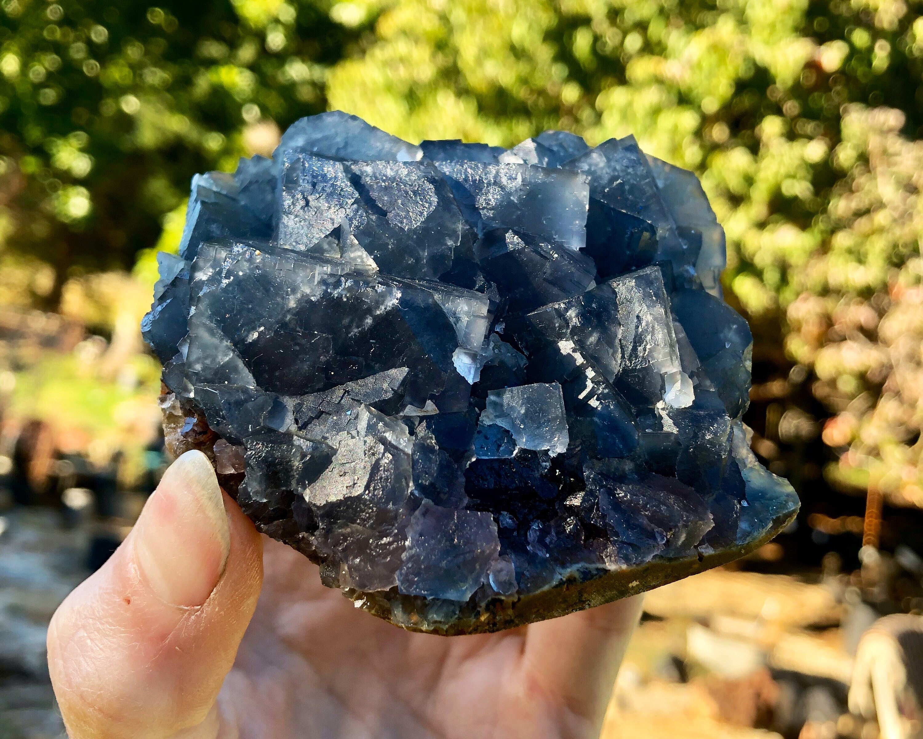 348g Blue Cubic Tetrahedron Fluorite Crystal Cluster Mineral Specimen ...