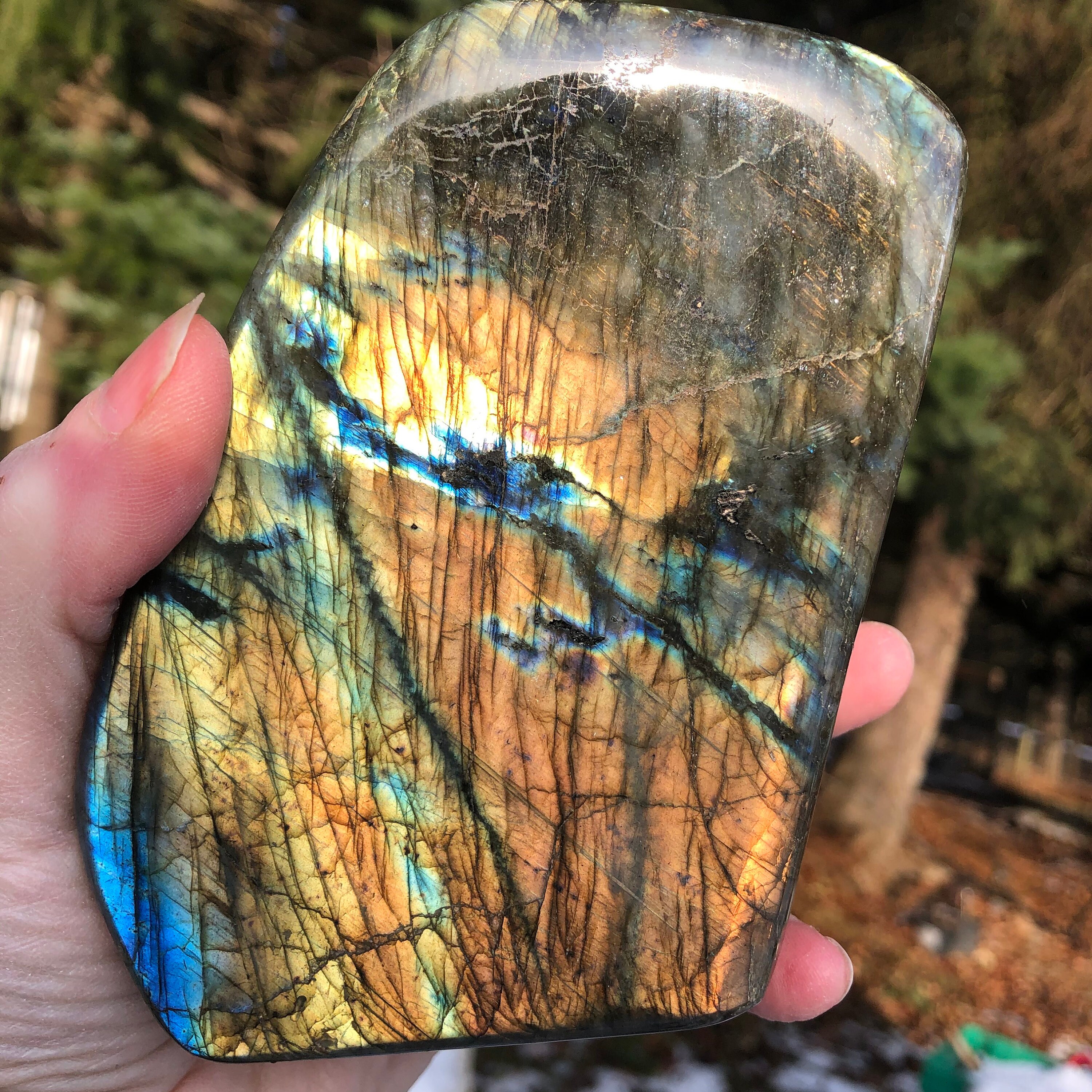 Spectralite Labradorite Standing Polished Freeform Display Specimen