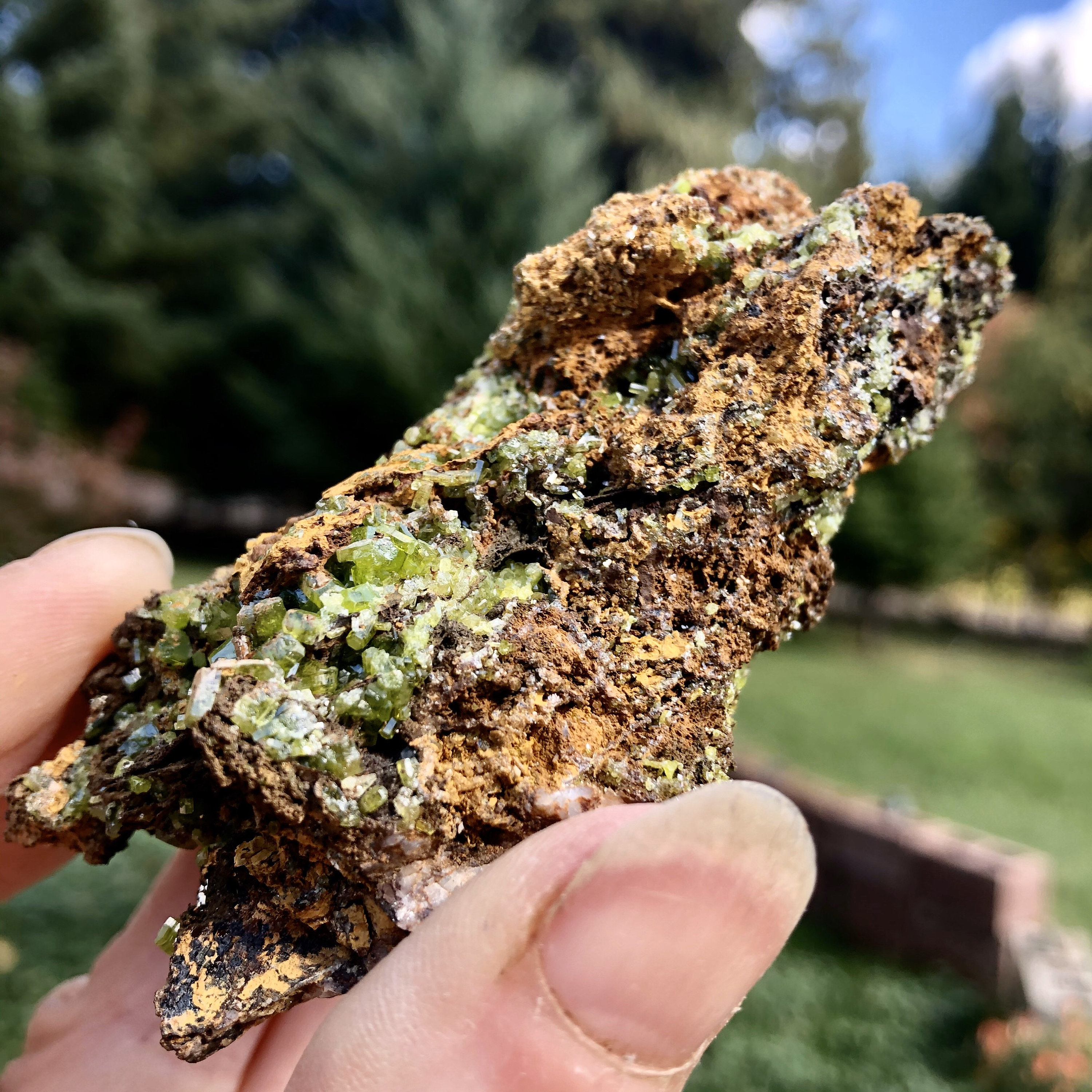 186g Pyromorphite Crystal Cluster Specimen on Matrix