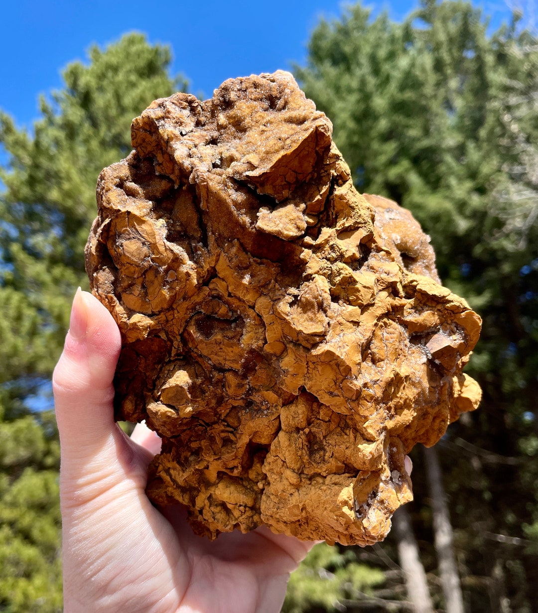 Botryoidal Orange Jasper Lapidary Rough 3.83 Lbs - Etsy