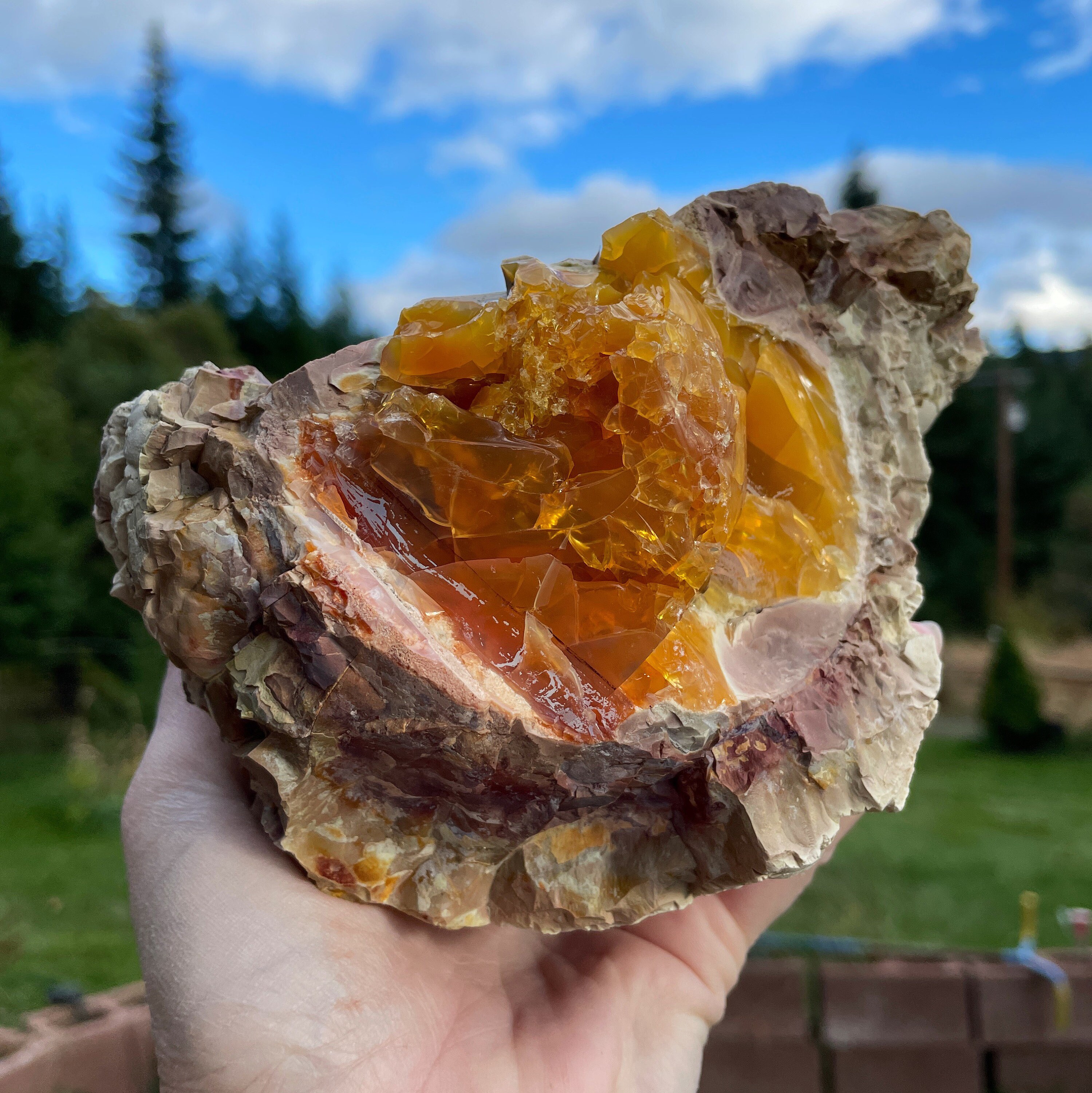 3.29 lb Oregon Opal in Rhyolite Jasper Mineral Display Specimen