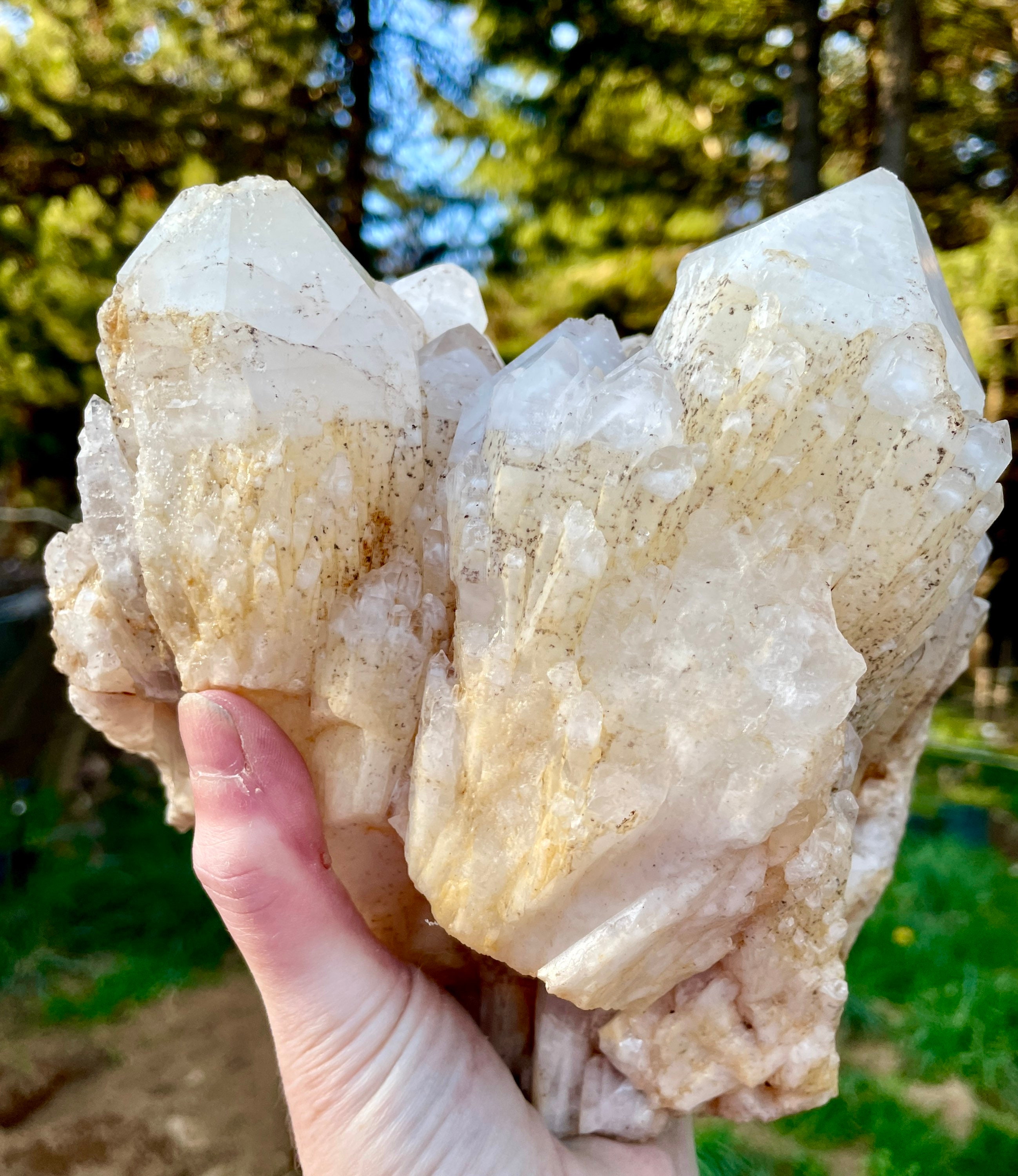 9.16 lb Pineapple Quartz Crystal Cluster Mineral Display Specimen