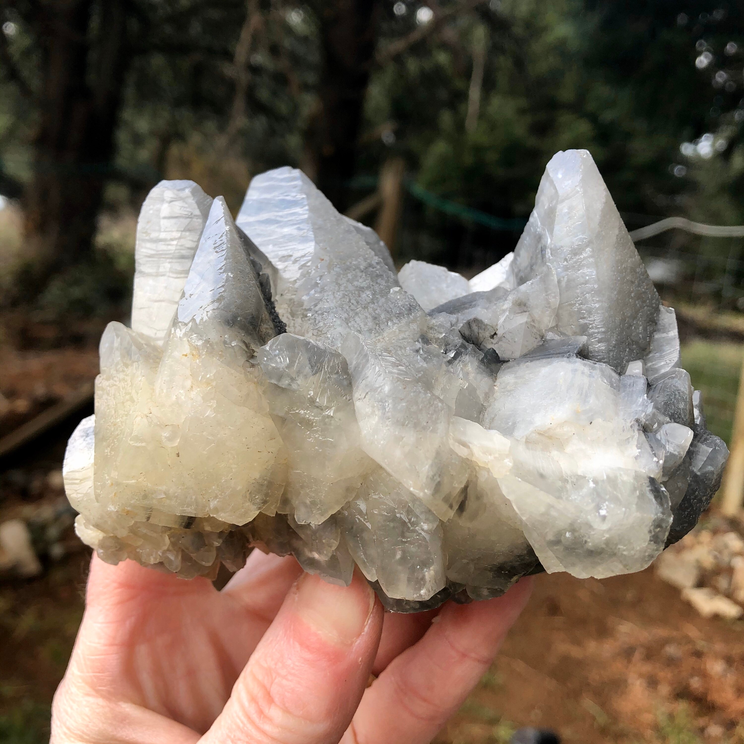 672g Gray Dogtooth Calcite Double Sided Crystal Cluster Mineral Display ...