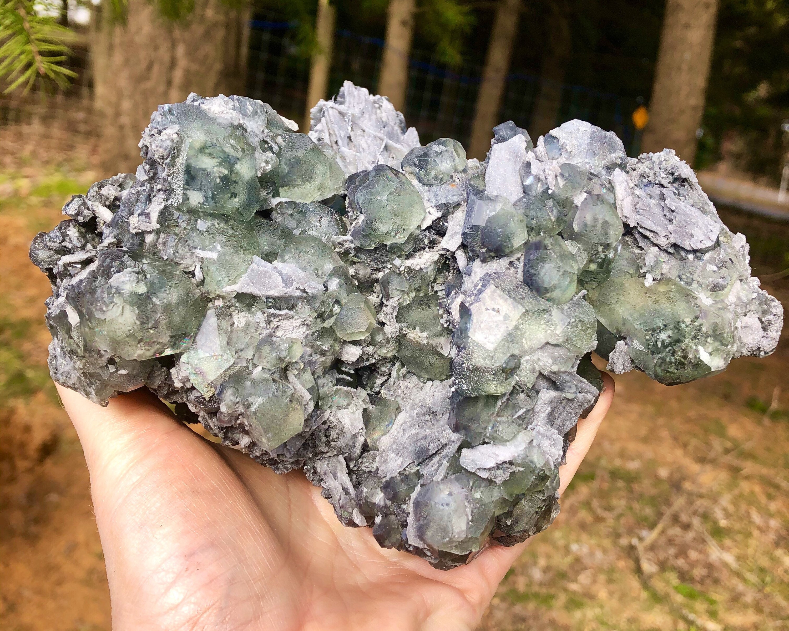 1978g Large Octagonal Green Fluorite On Druzy Gray Matrix Crystal ...