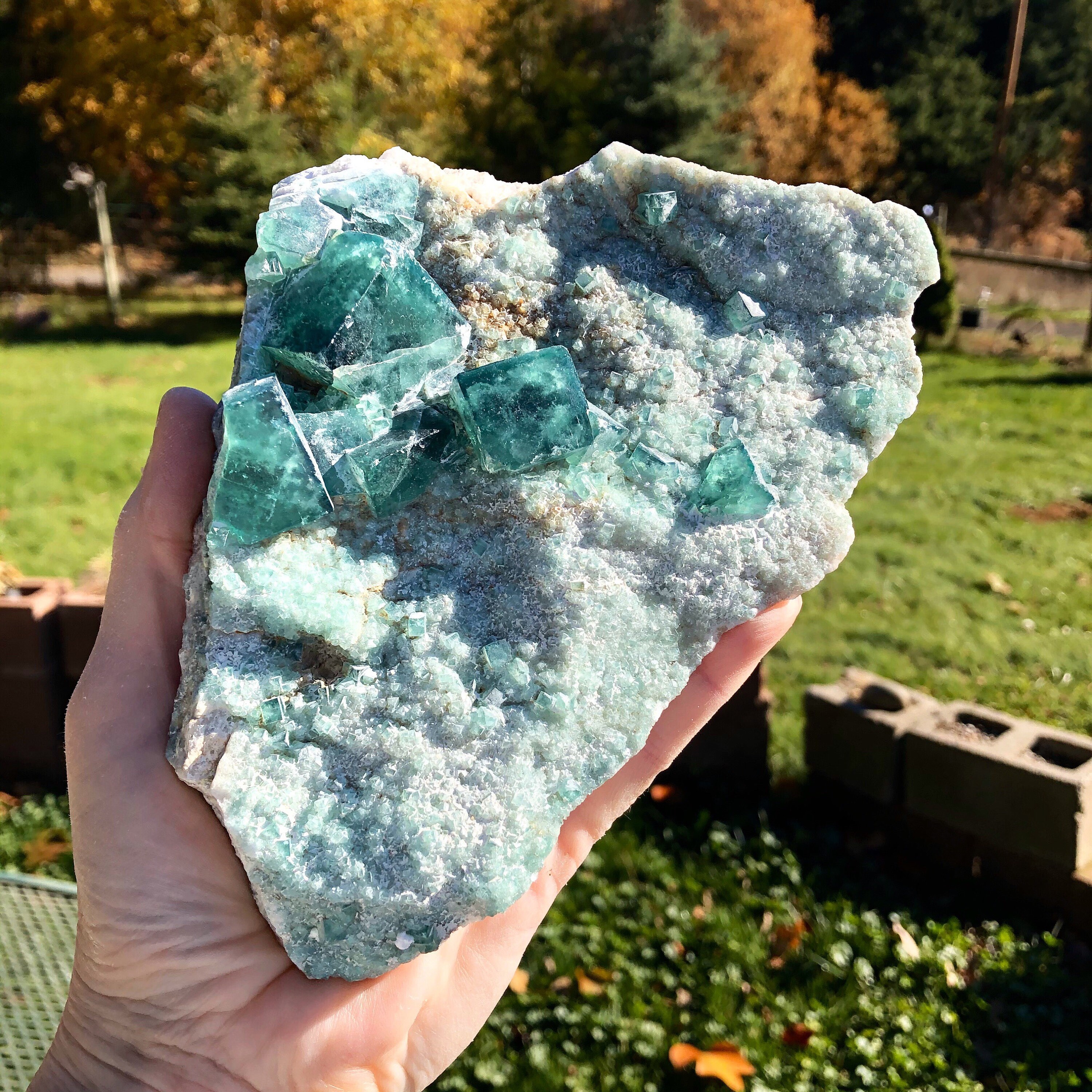 2.42 lbs Green Cubic Fluorite on White Quartz Large Crystal Cluster ...