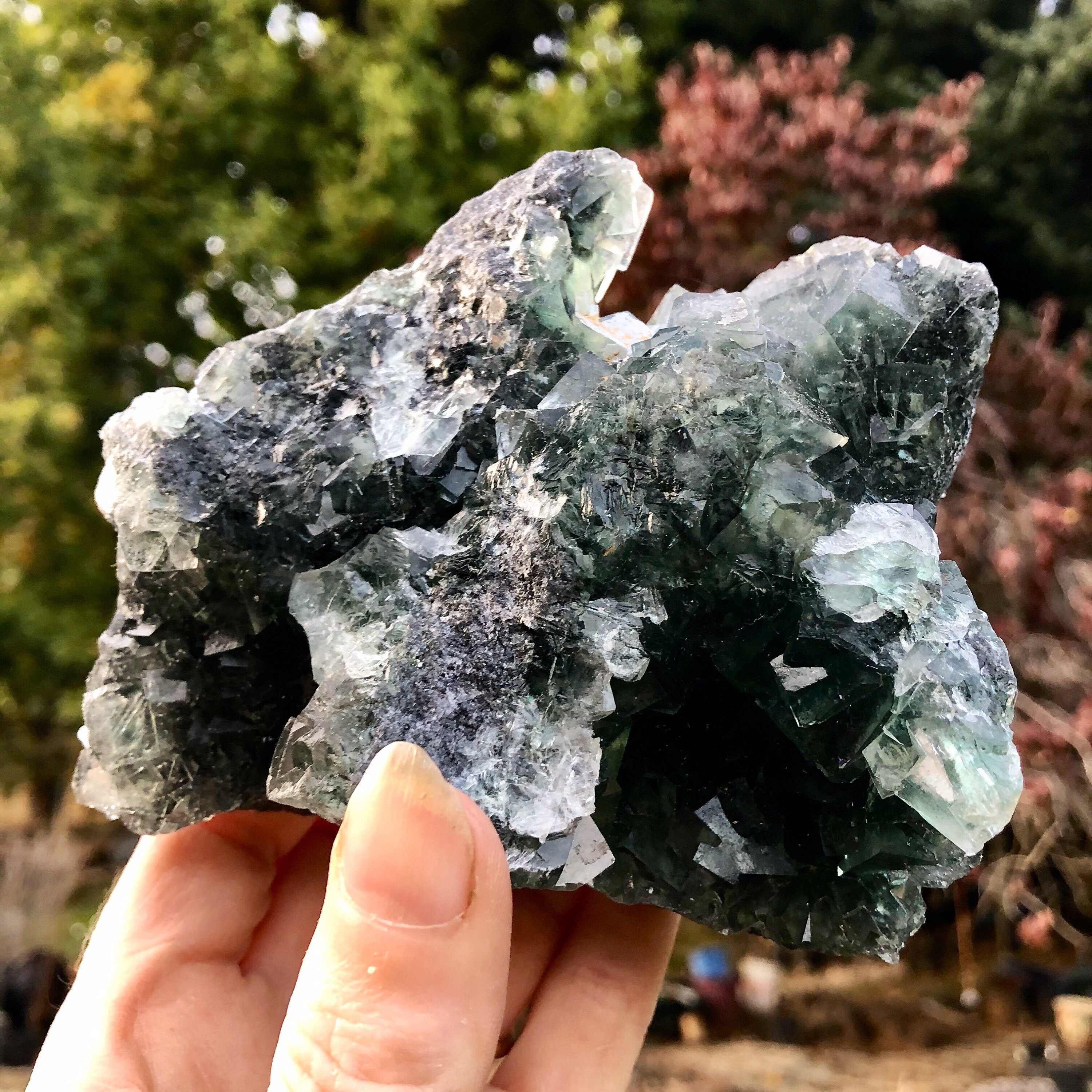 734g Transparent Green Trapezoidal and Cubic Fluorite Large Crystal ...
