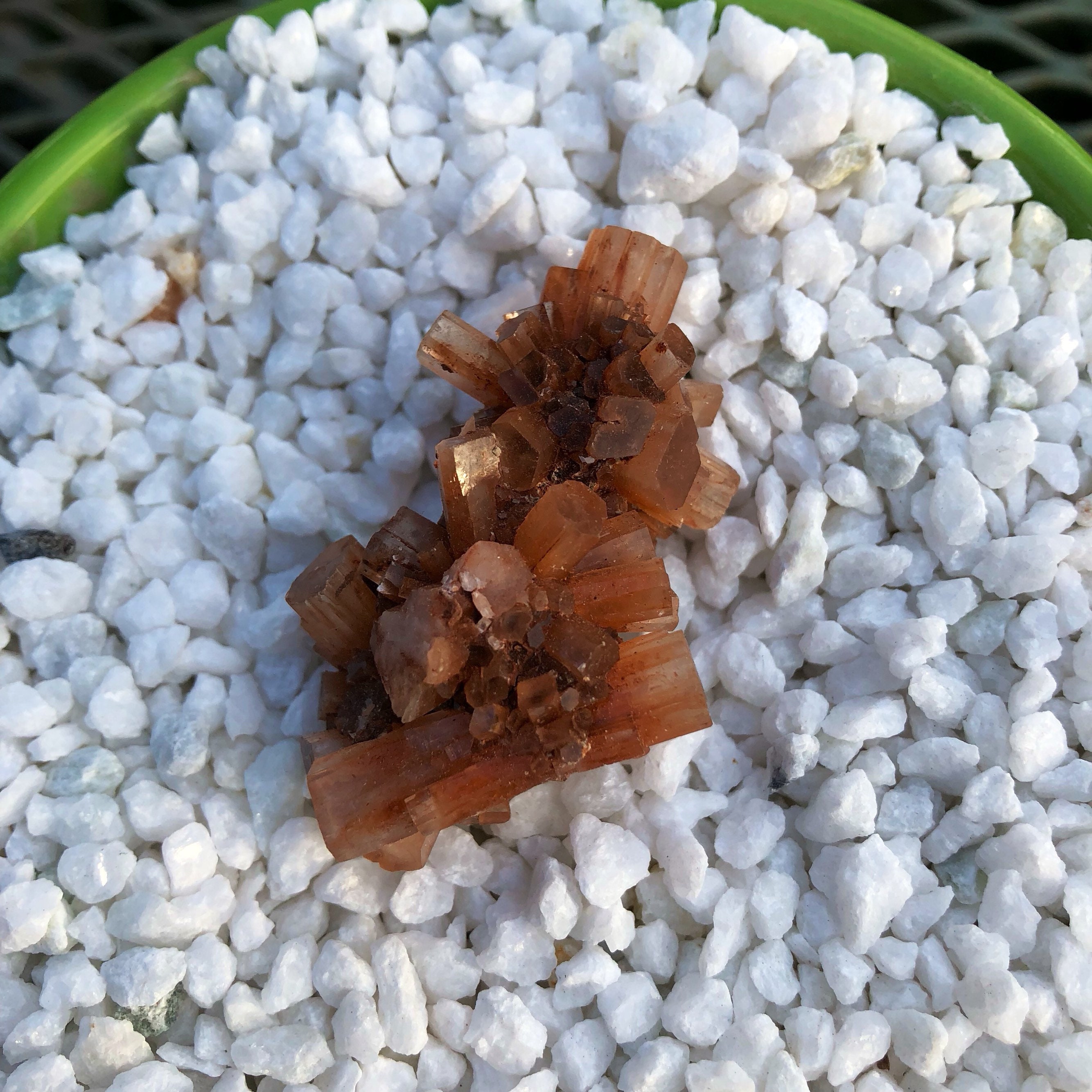 Double Aragonite Star Cluster Crystal