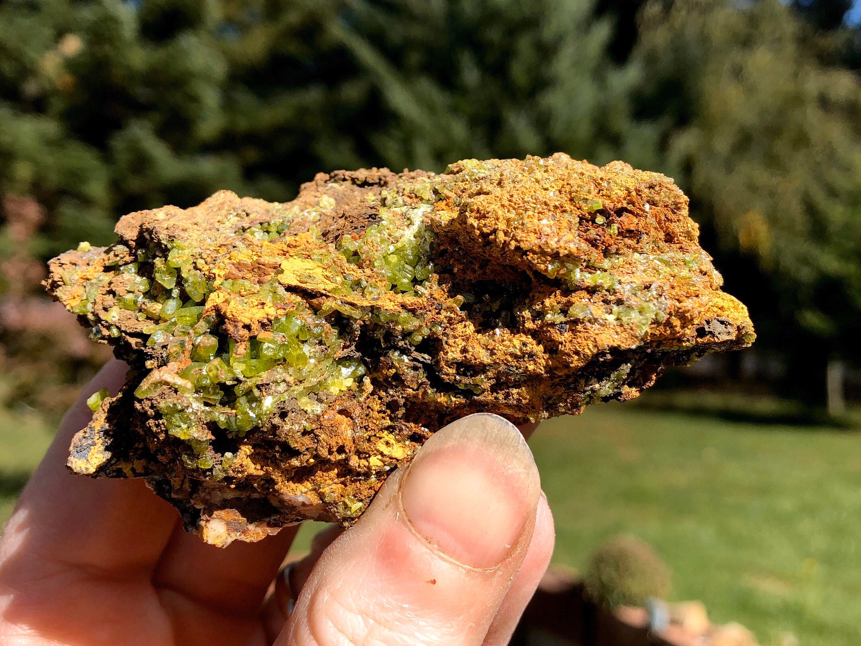 186g Pyromorphite Crystal Cluster Specimen on Matrix