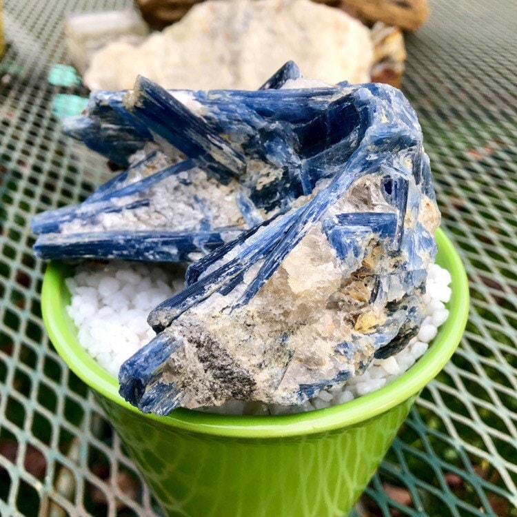 Large Blue and White Kyanite Crystal Cluster with Red Almandine Garnet