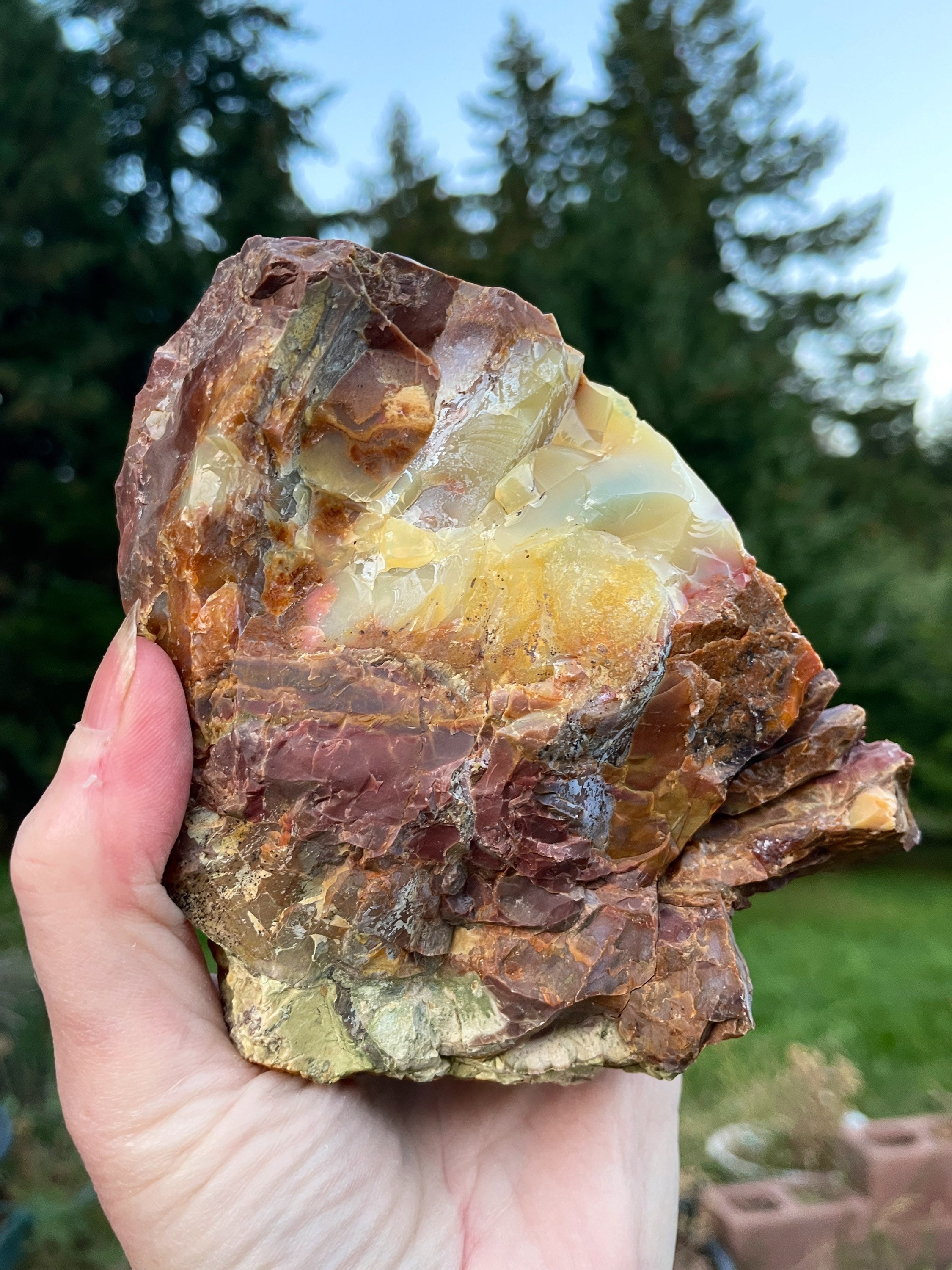 2.35 lb Oregon Opal on Rhyolite Jasper Mineral Display Specimen