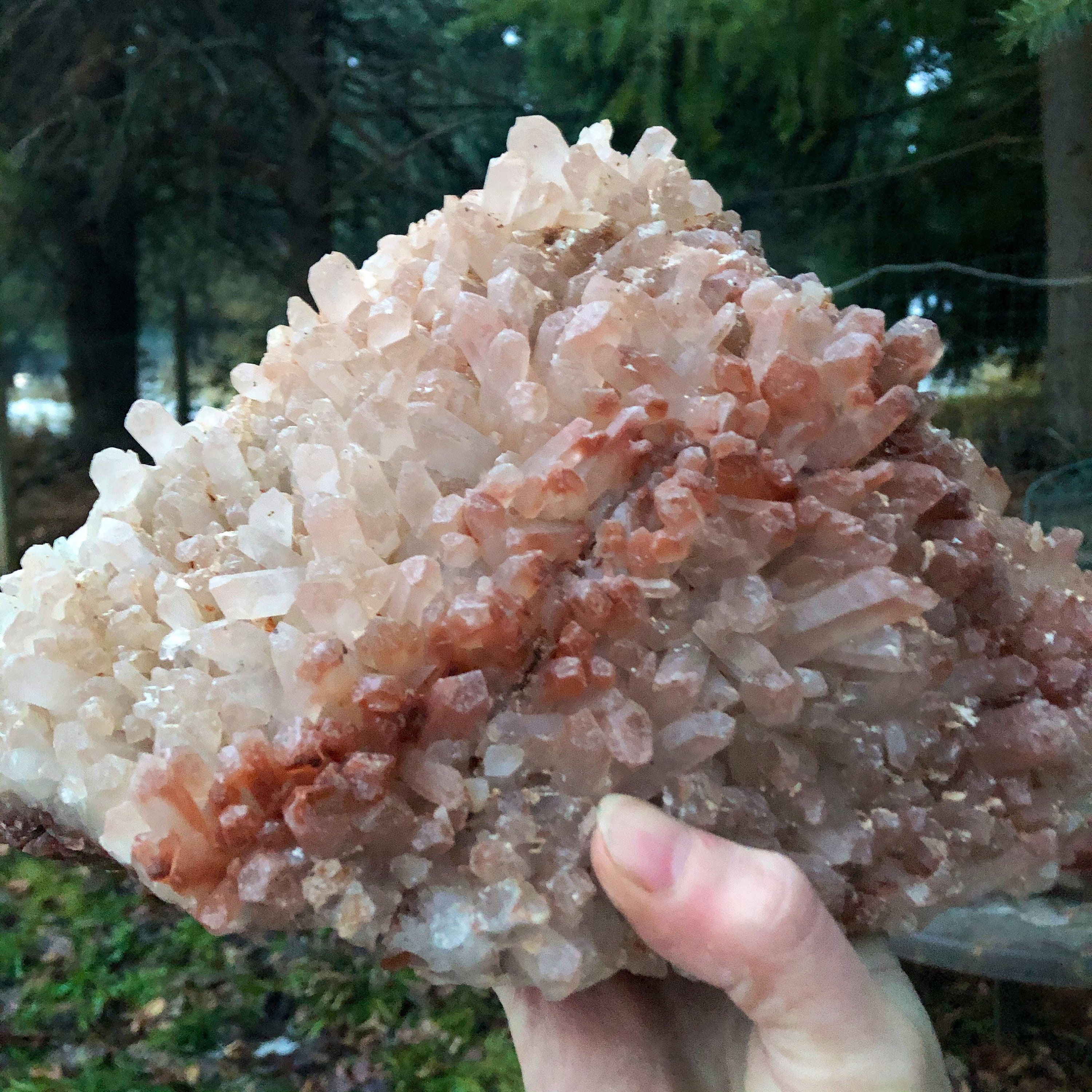 2758g XL Quartz Crystal Cluster Plate Display Specimen