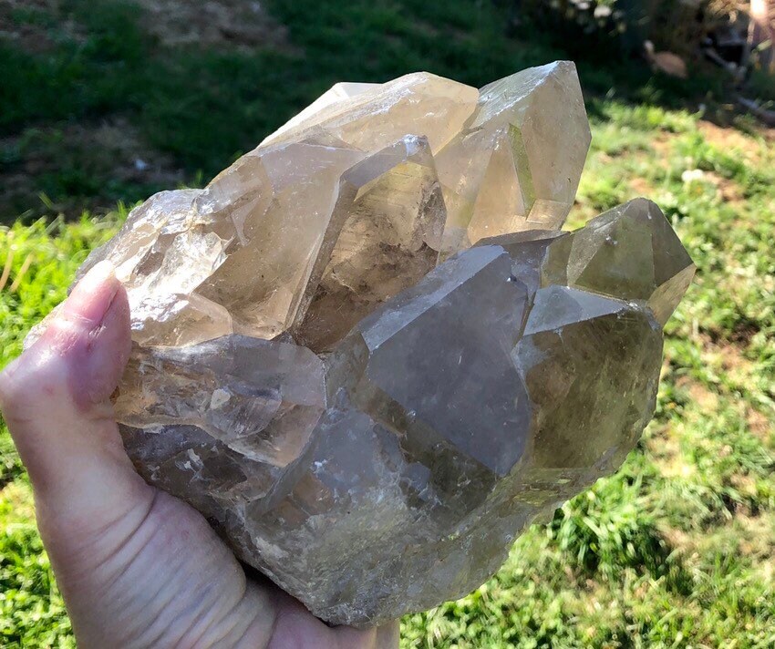 XL Smoky Rutilated Quartz Crystal Cluster Specimen