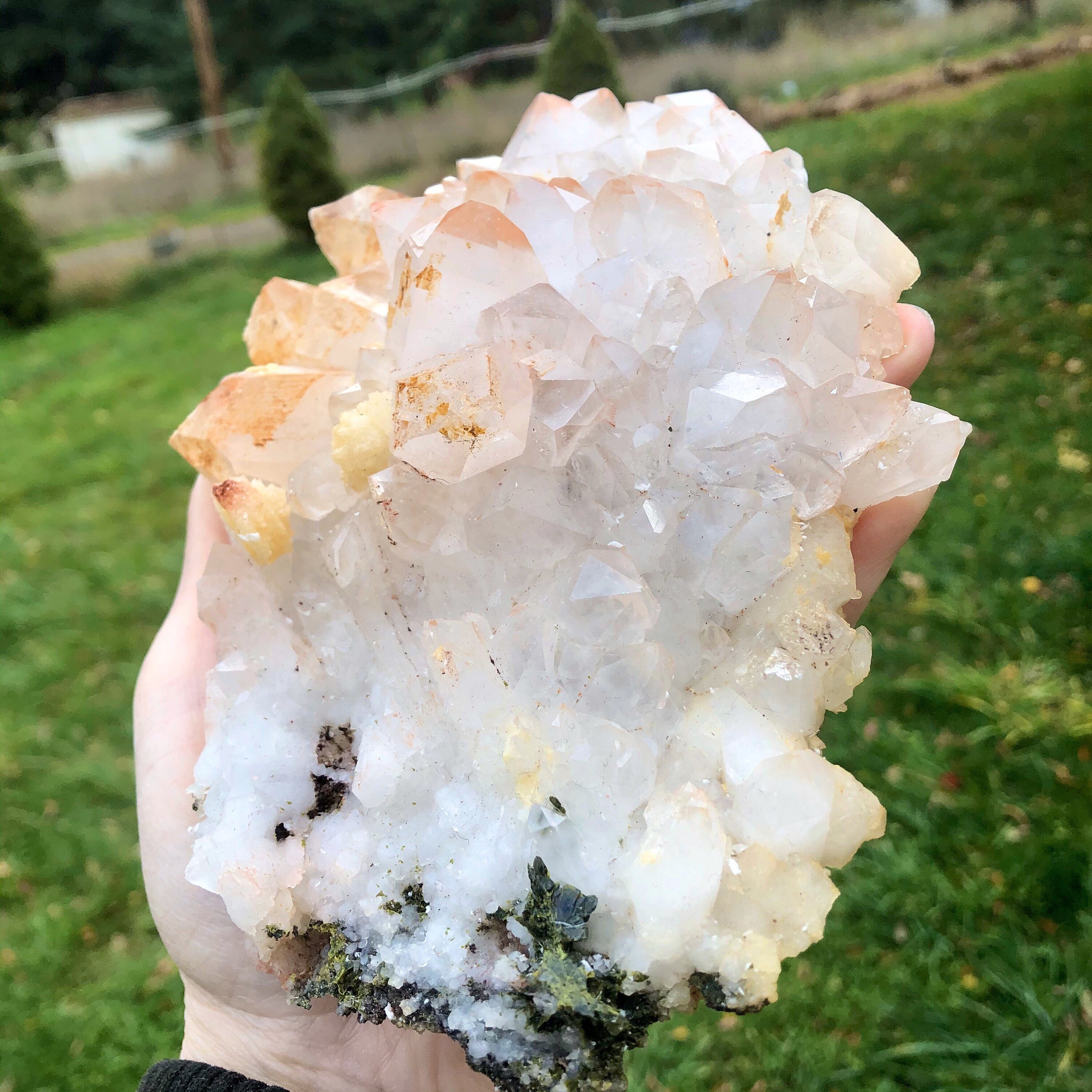852g Quartz Crystal Cluster with Yellow Calcite Flowers and Green ...