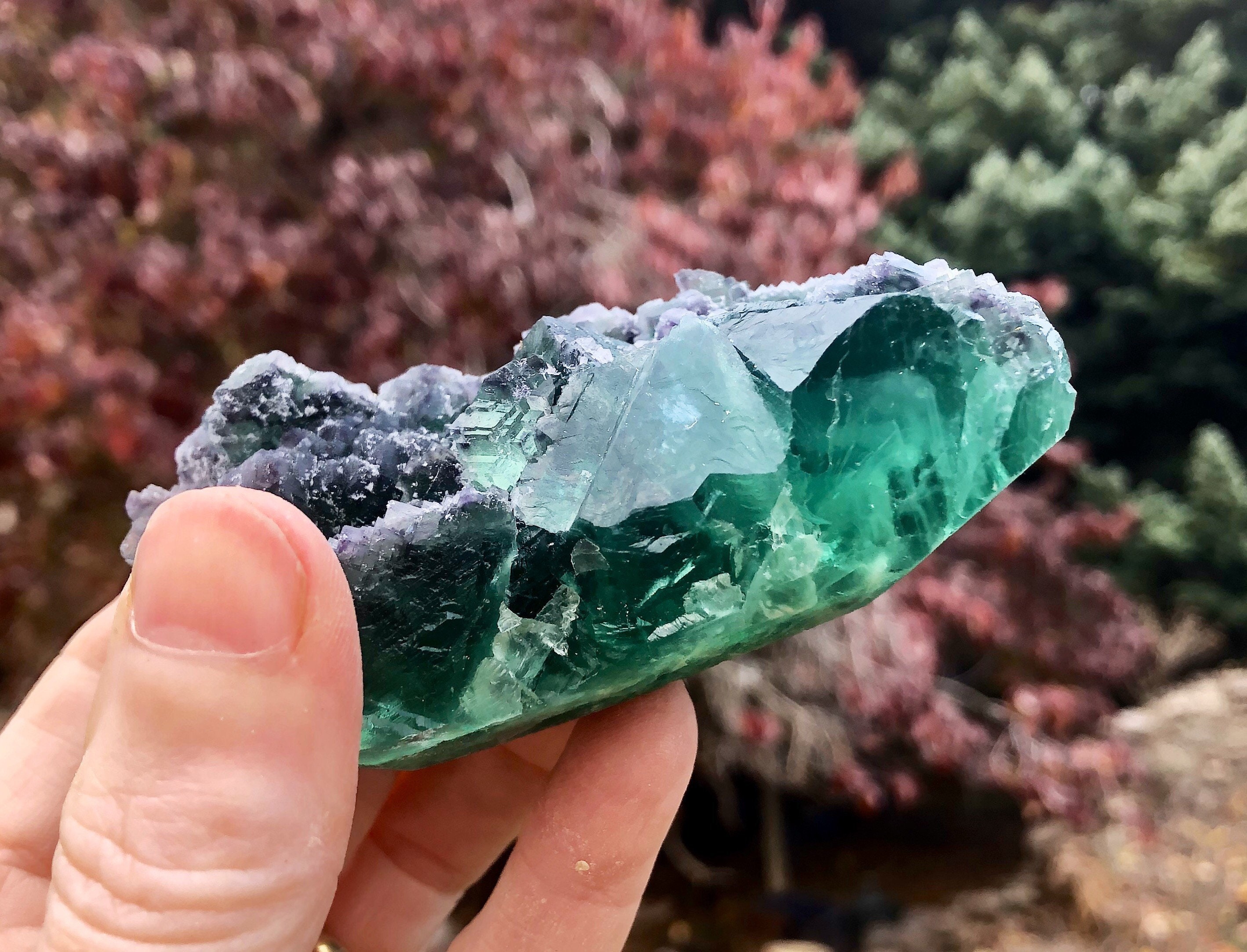 298g Transparent Deep Green Trapezoidal Fluorite Crystal Cluster with ...