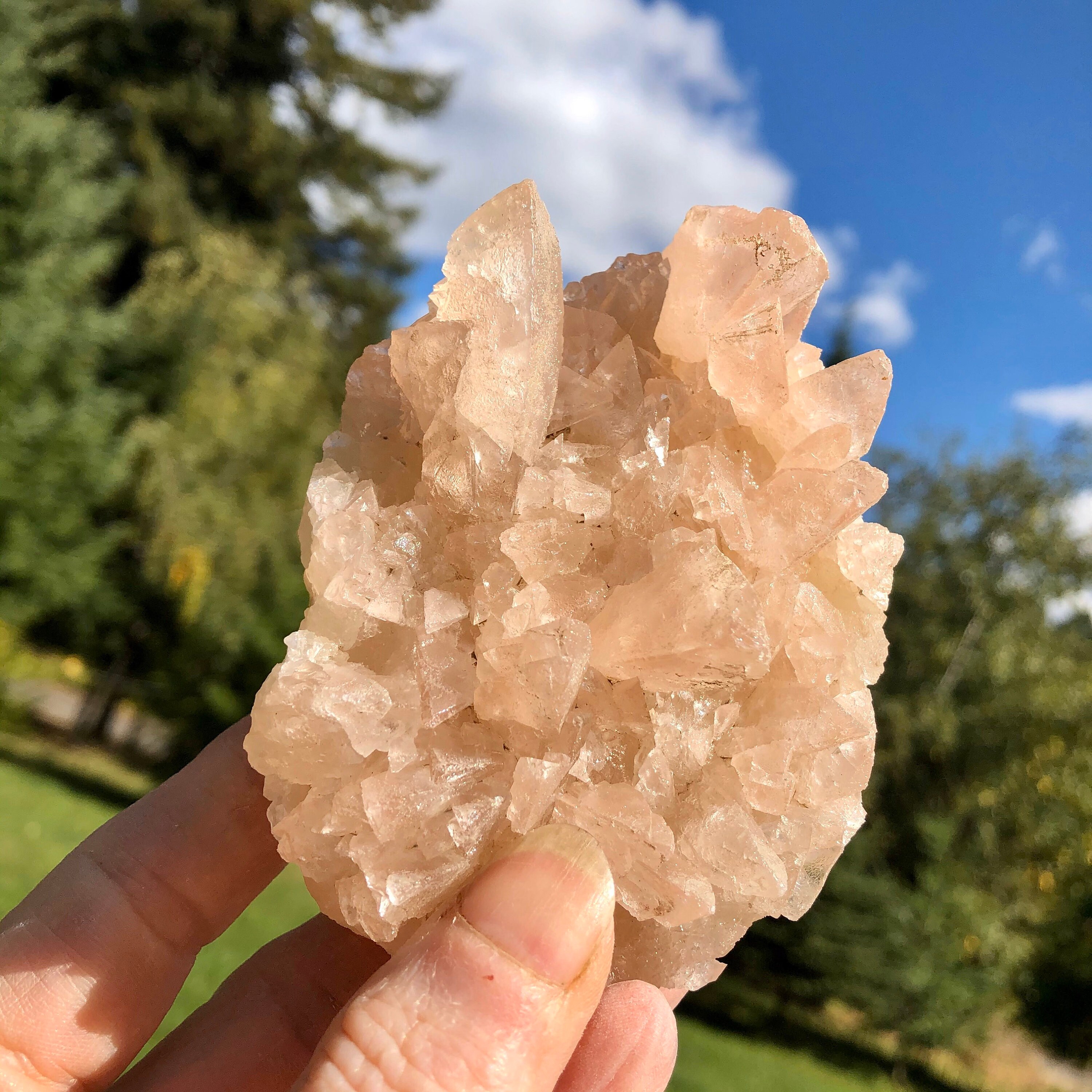 Pale Pink Dogtooth Calcite Fluorescent Crystal Cluster Specimen