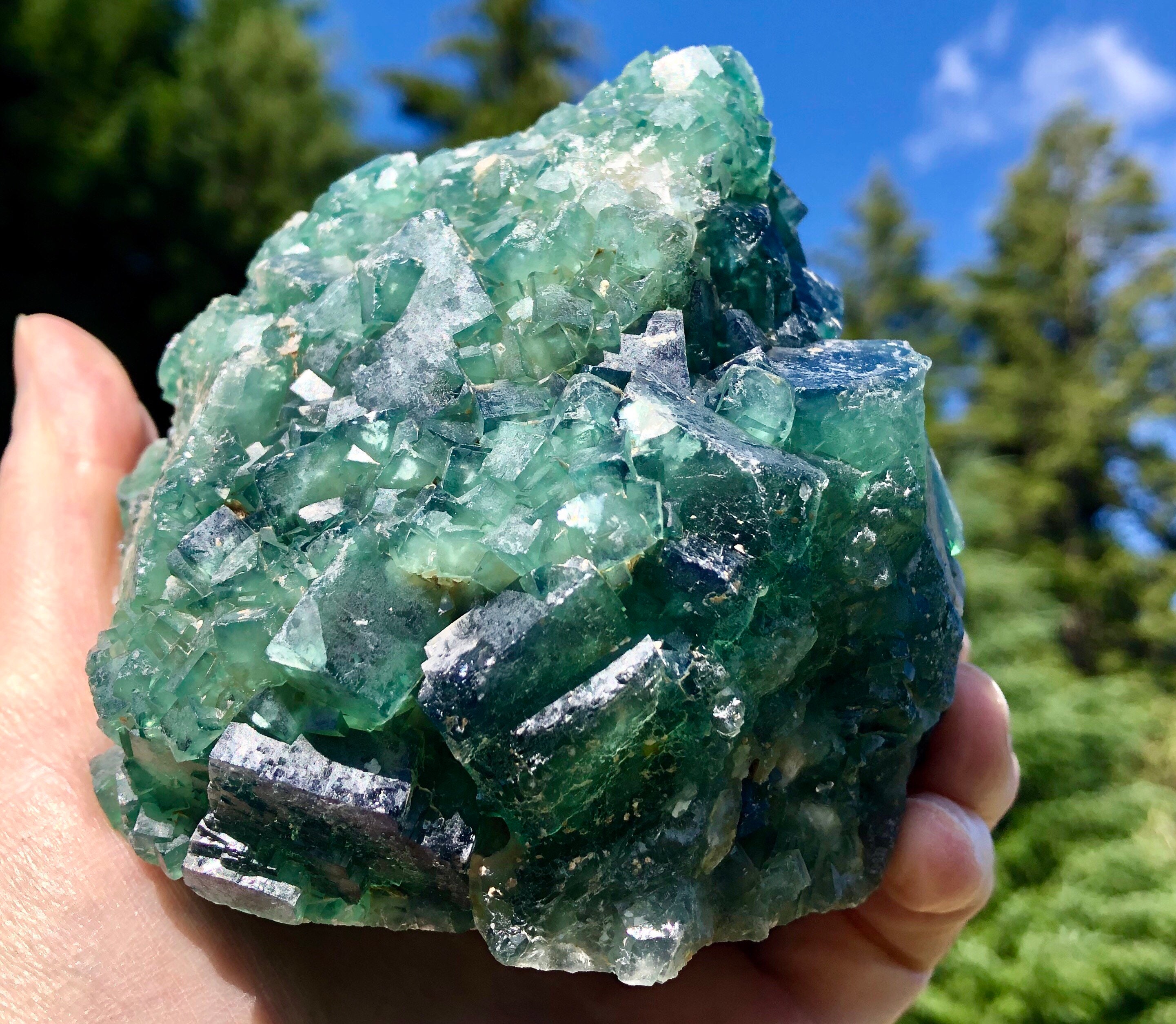 864g Upright Green Cubic Fluorite Crystal Cluster Standing Mineral ...