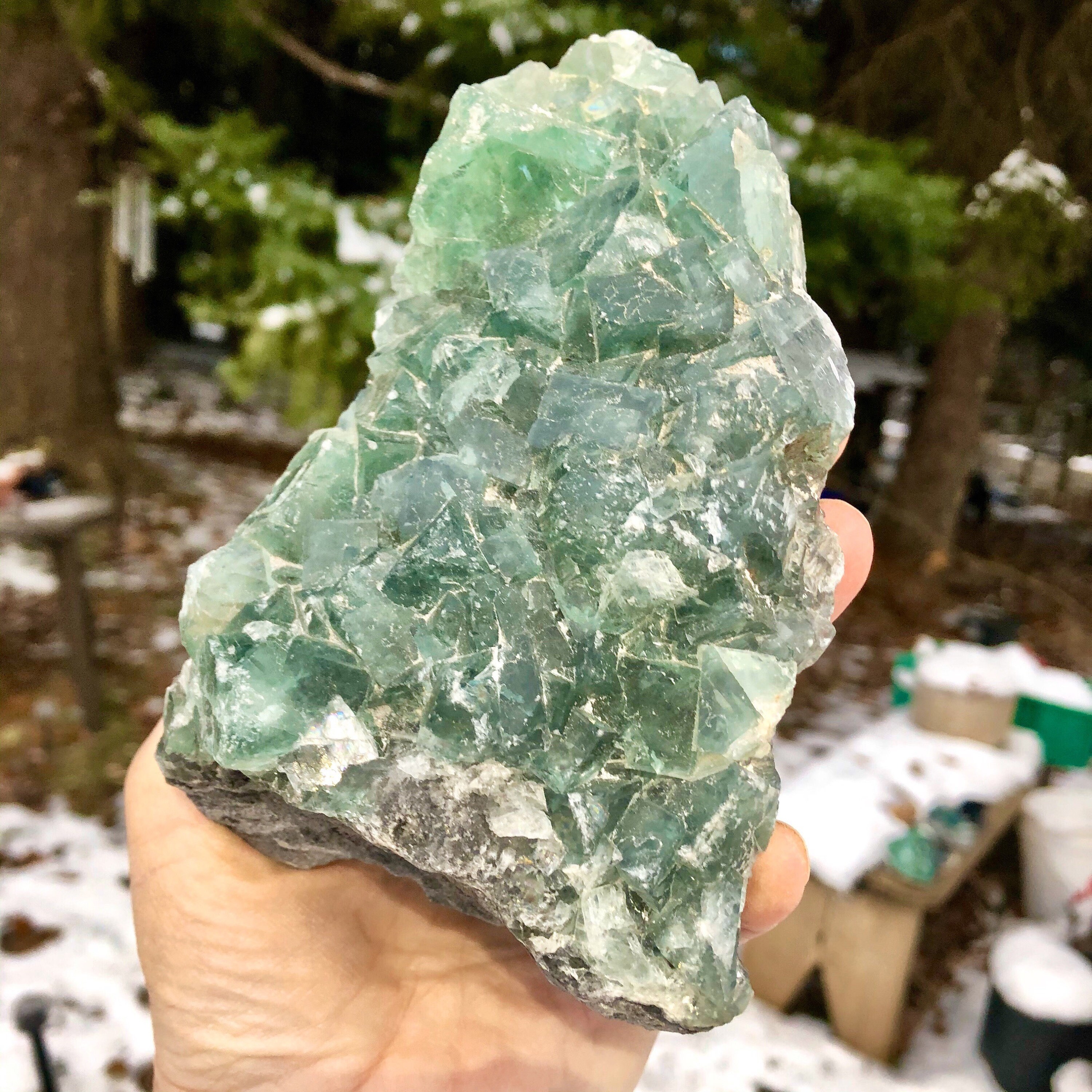 Large Green Cubic Fluorite Crystal Cluster Specimen on matrix