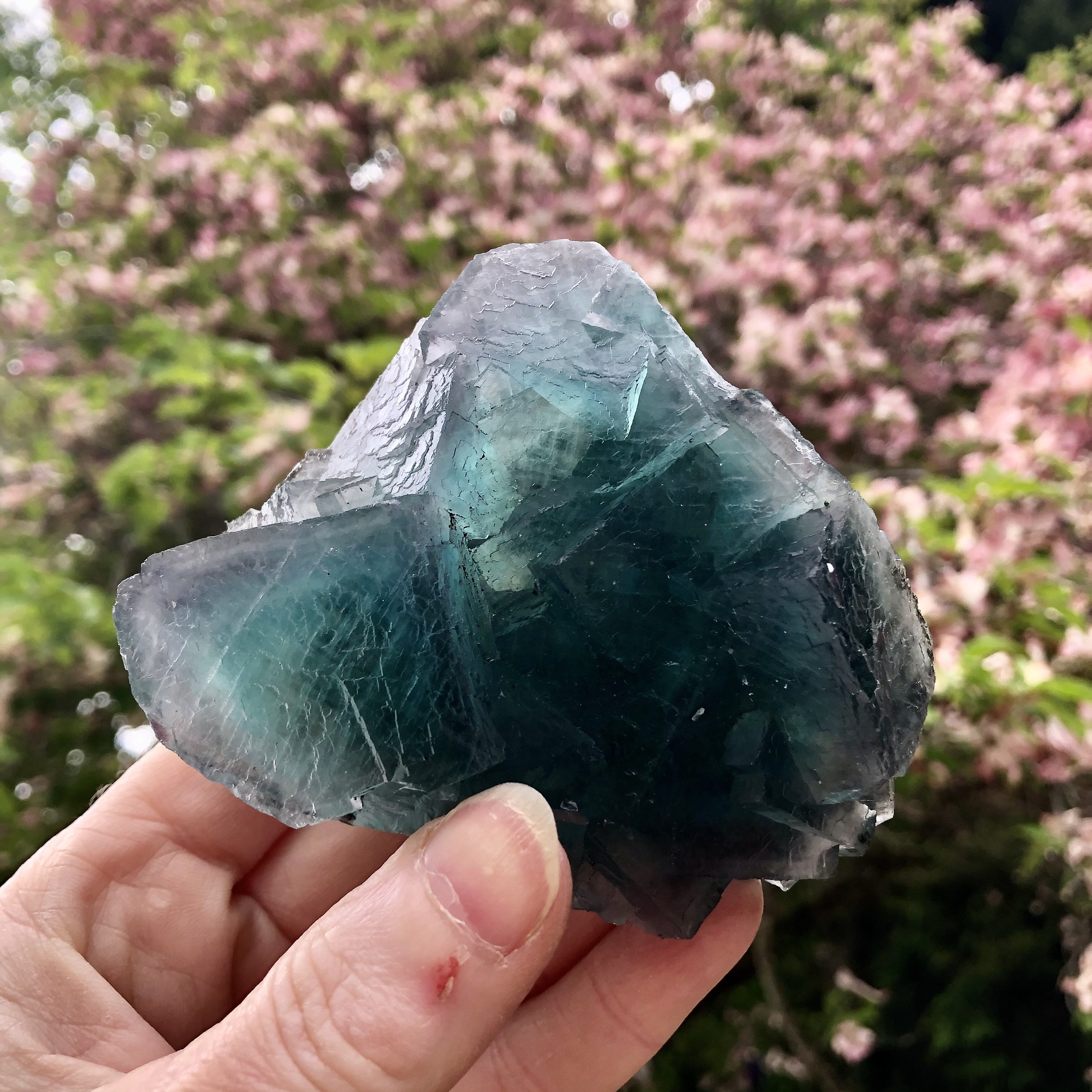 300g Blue Green Phantom Window Fluorite Crystal Mineral Display Specimen