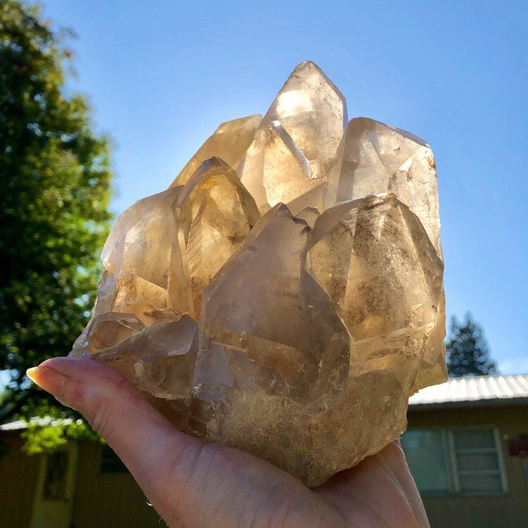 XL Smoky Rutilated Quartz Crystal Cluster Specimen