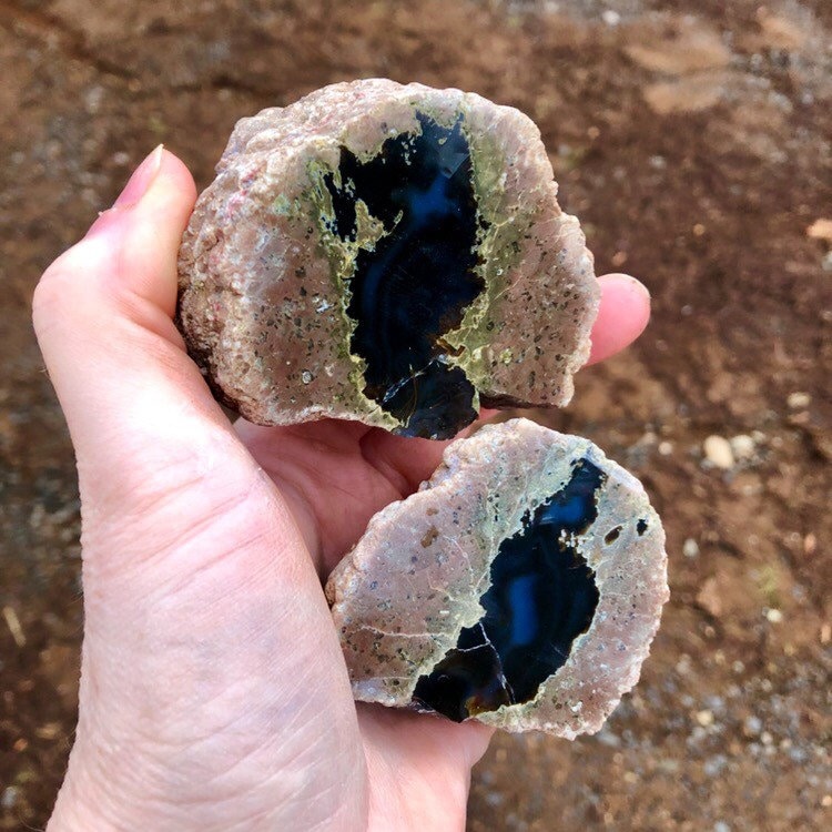 Dark blue Agate centered Oregon Thunder Egg from Richardsons Rock Ranch