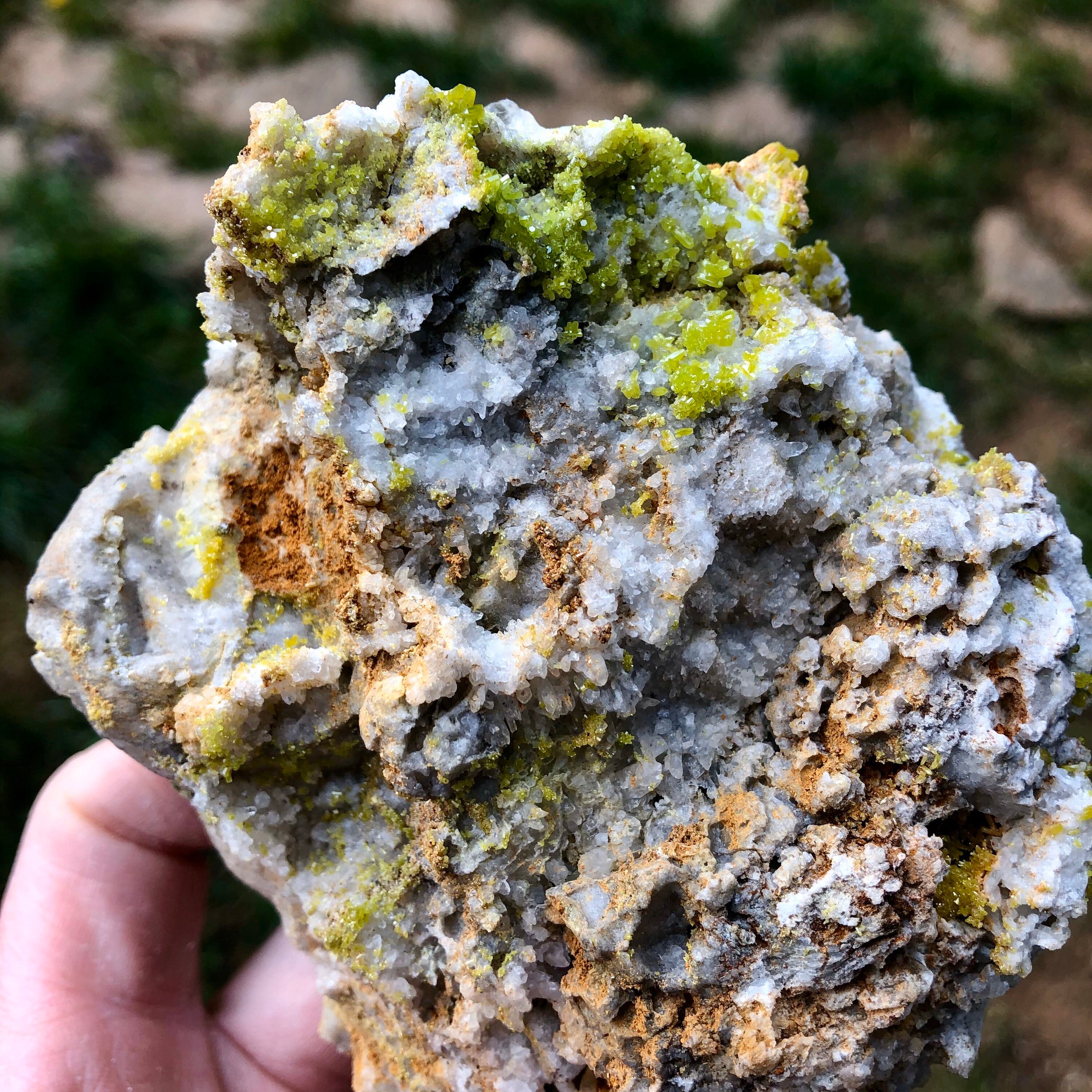 460g Chartreuse Pyromorphite Crystals On Quartz And Calcite Mineral ...