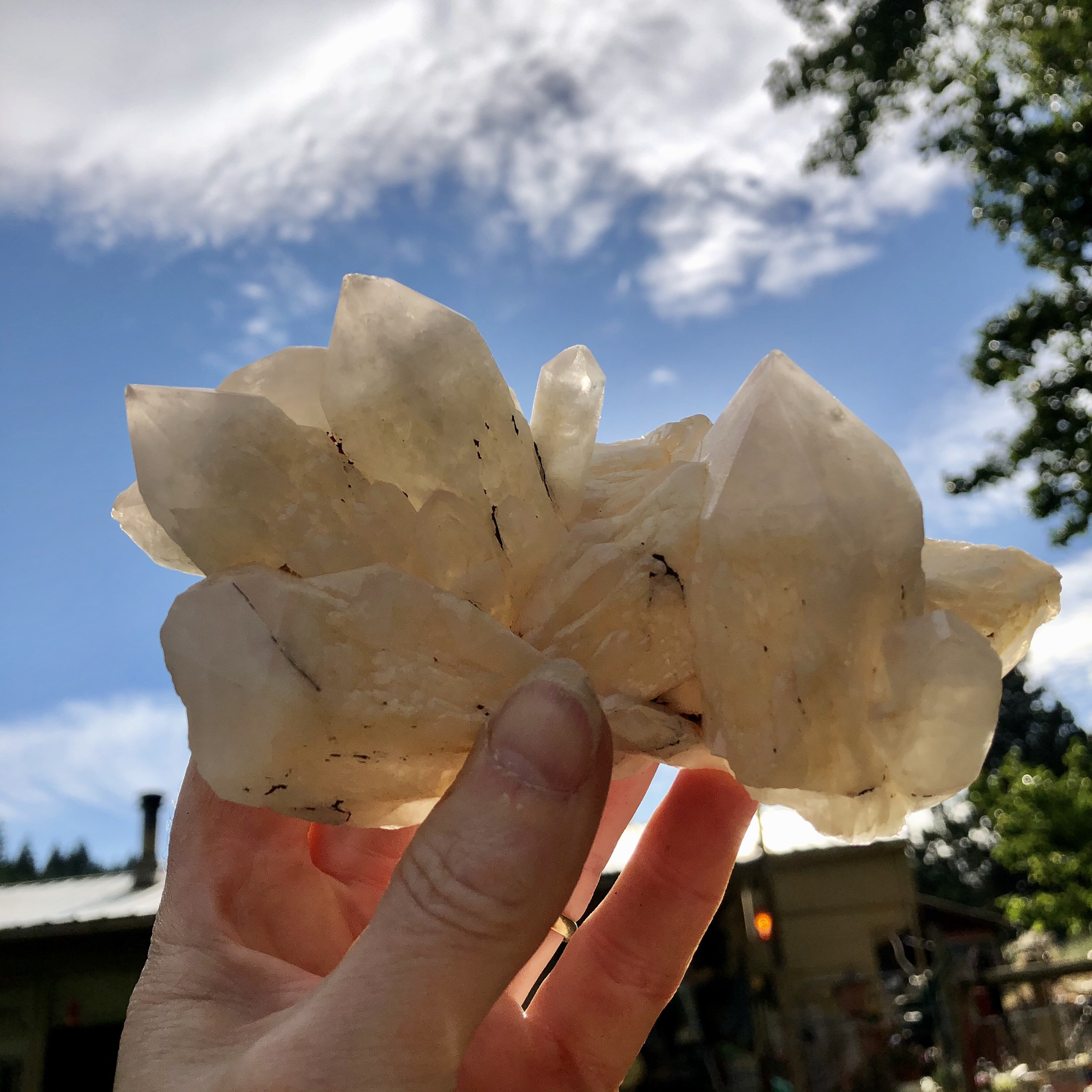 510g Pineapple Candle Quartz Crystal Cluster Mineral Display Specimen
