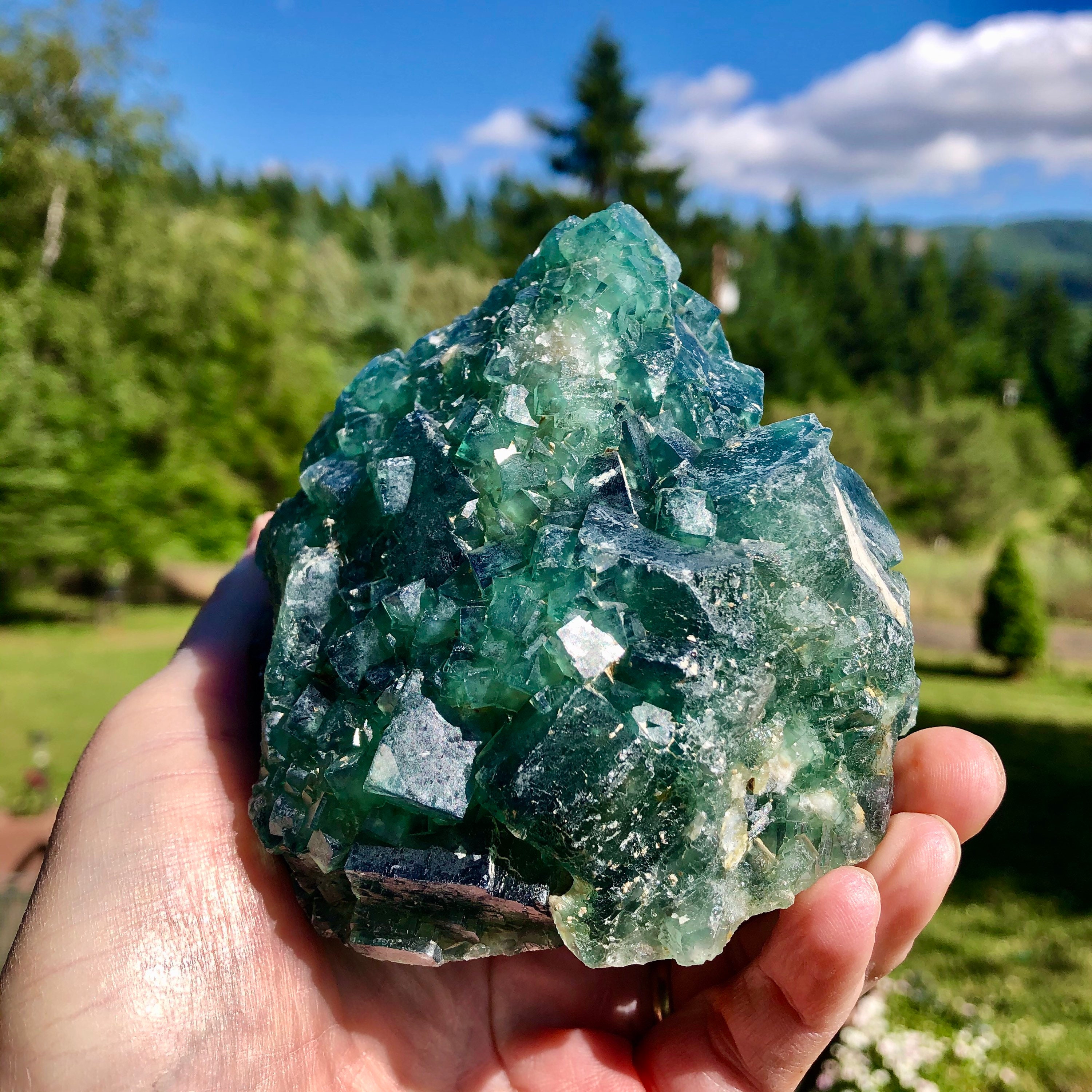 864g Upright Green Cubic Fluorite Crystal Cluster Standing Mineral ...
