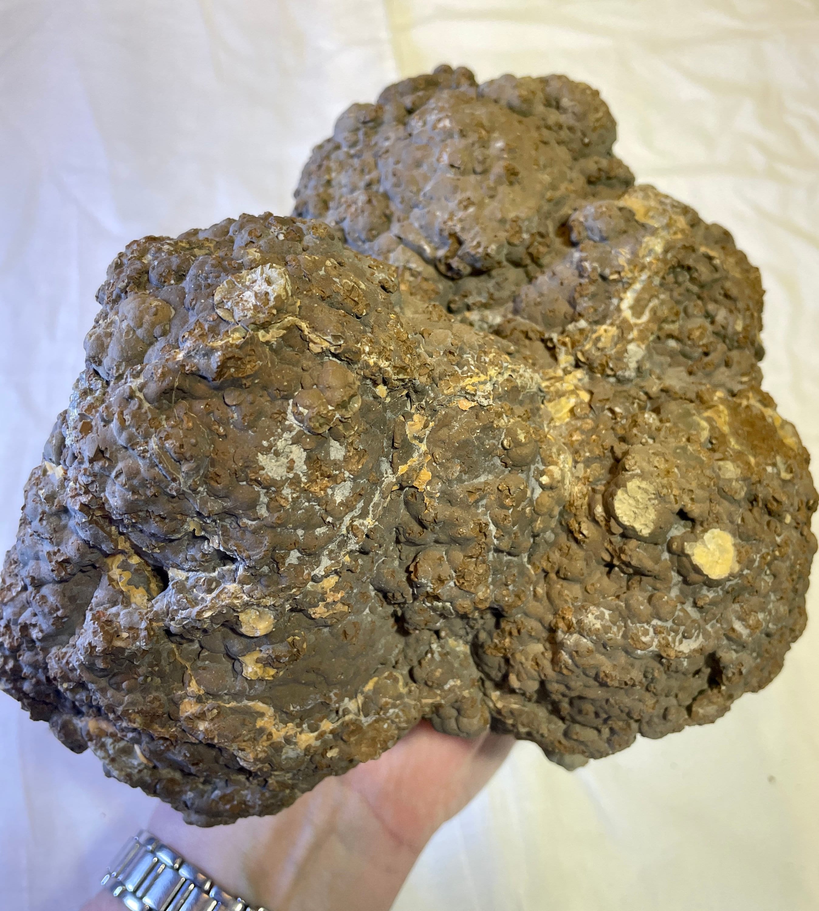 6.65 lb Huge uncut Thunder Egg from Oregon