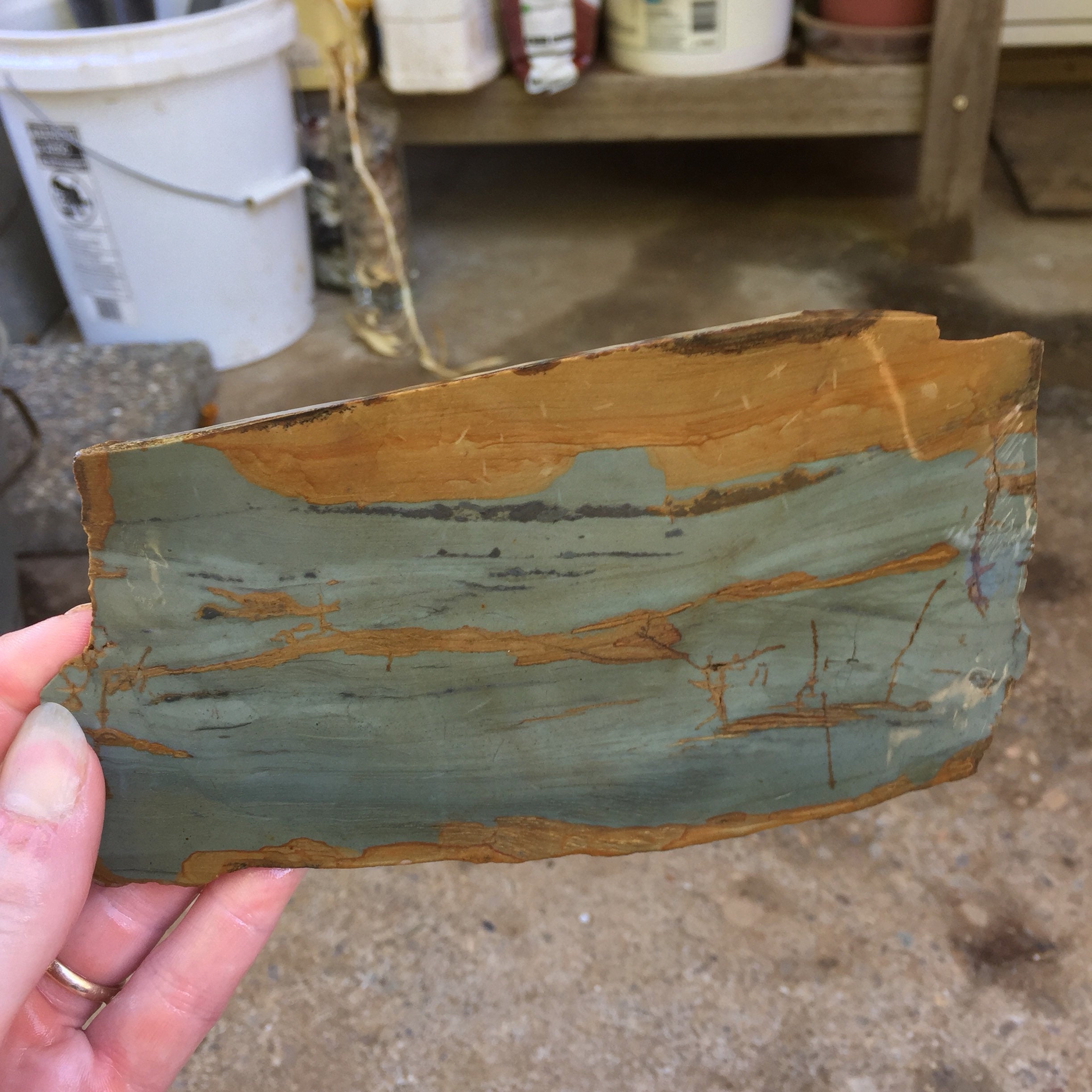 Blue Mountain Jasper slab unpolished for lapidary cutting