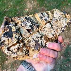 Biggs Picture Jasper Rough Lapidary Mineral Specimen 2 Lbs - Etsy